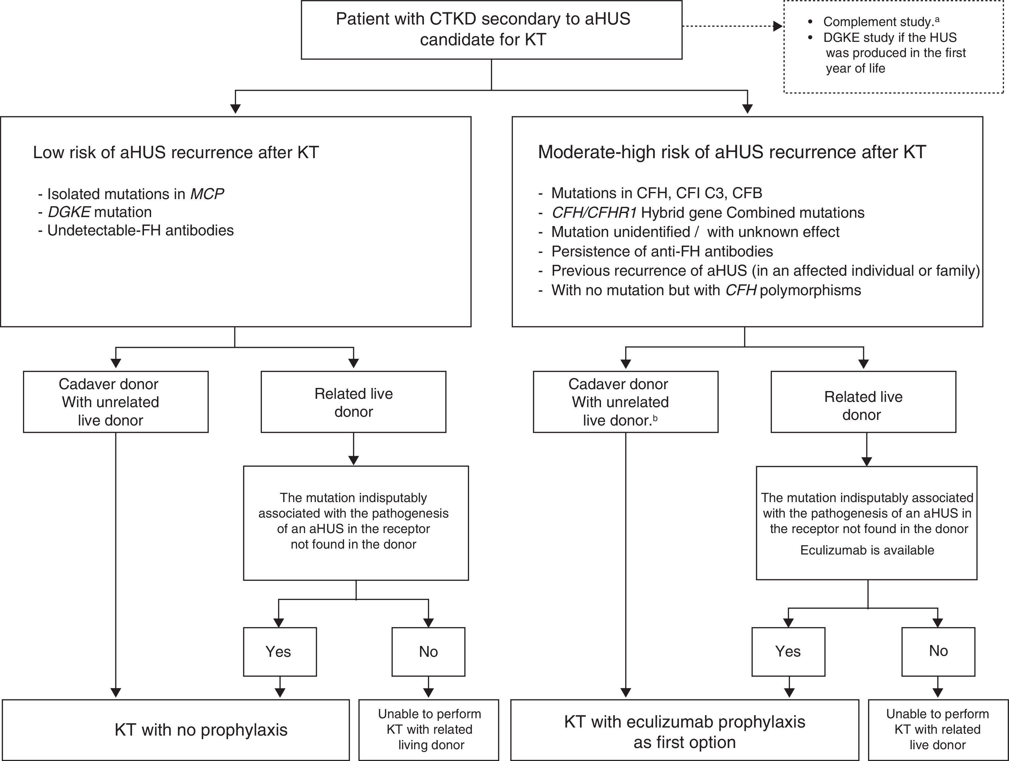 An update for atypical haemolytic uraemic syndrome: Diagnosis and ...
