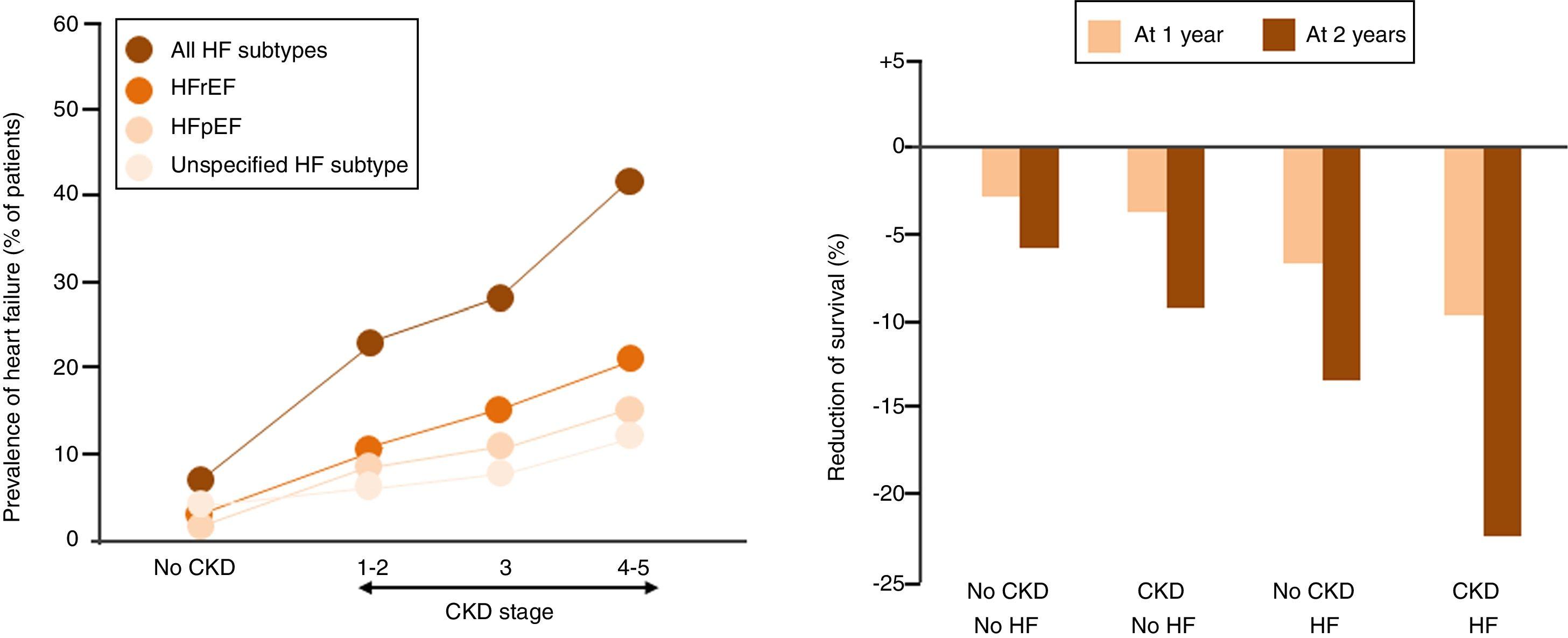 Burden and challenges of heart failure in patients with chronic kidney ...