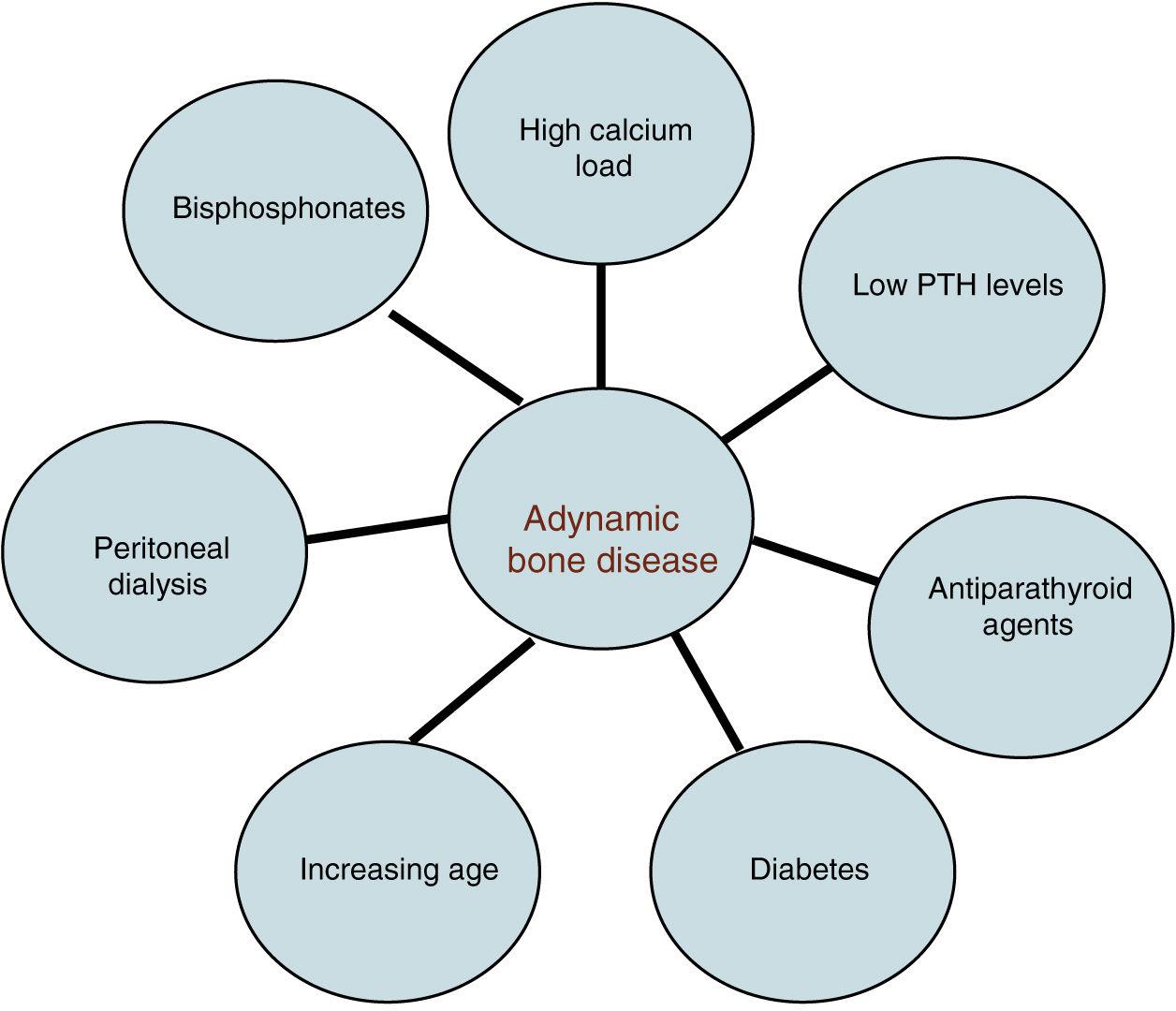 Adynamic bone disease: Revisited | Nefrología