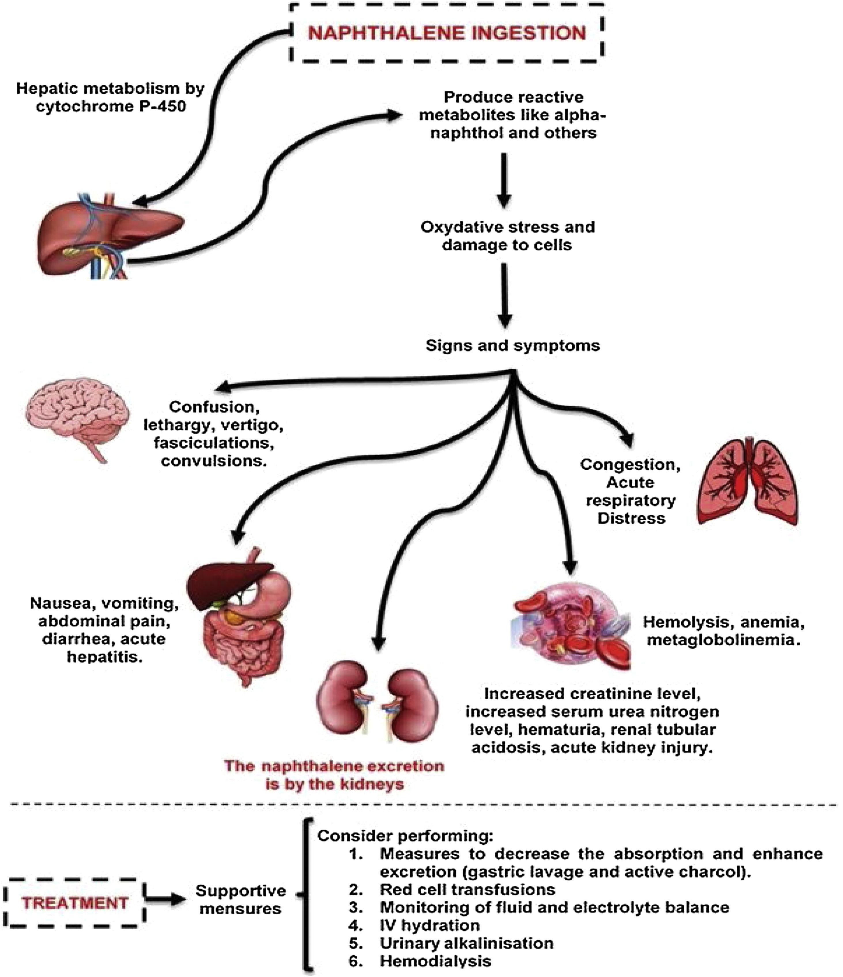 Acute kidney injury following naphthalene poisoning in children ...