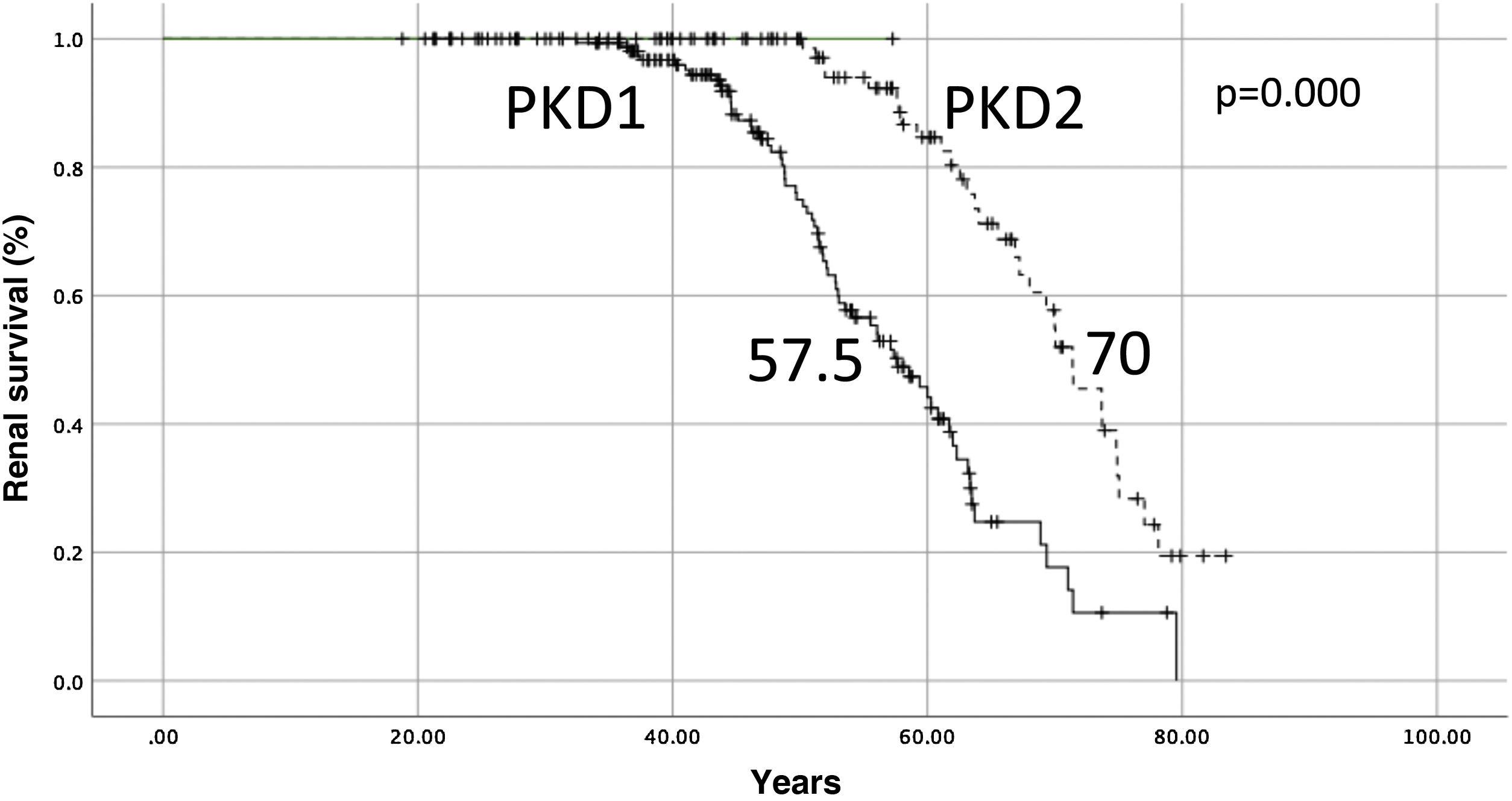 The natural history of autosomal dominant polycystic kidney disease. A ...