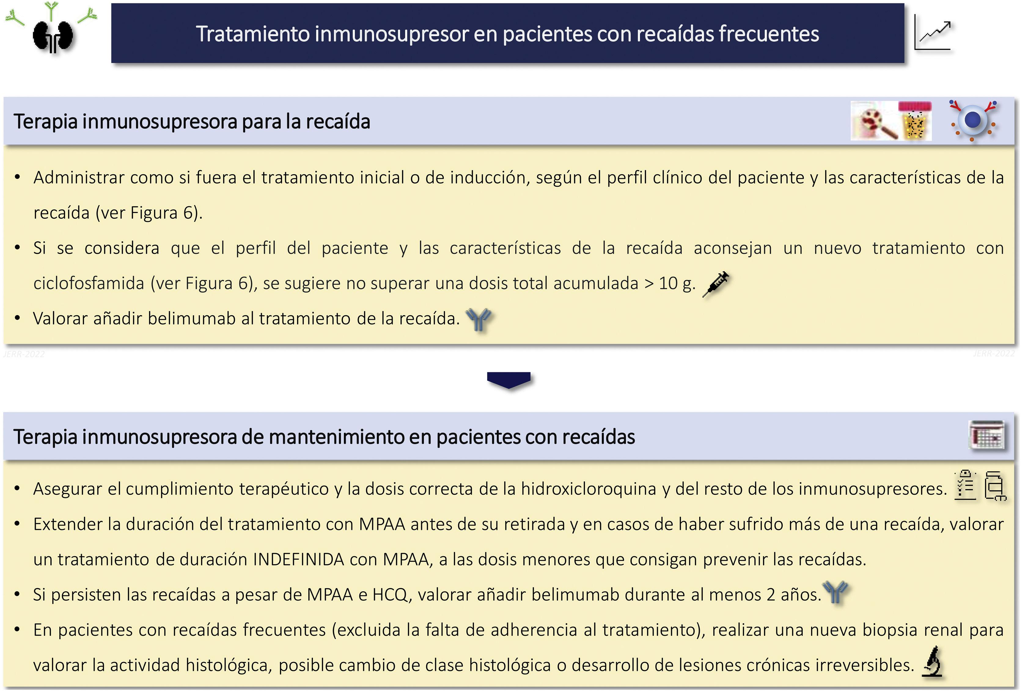 Consensus document of the Spanish Group for the Study of the Glomerular ...