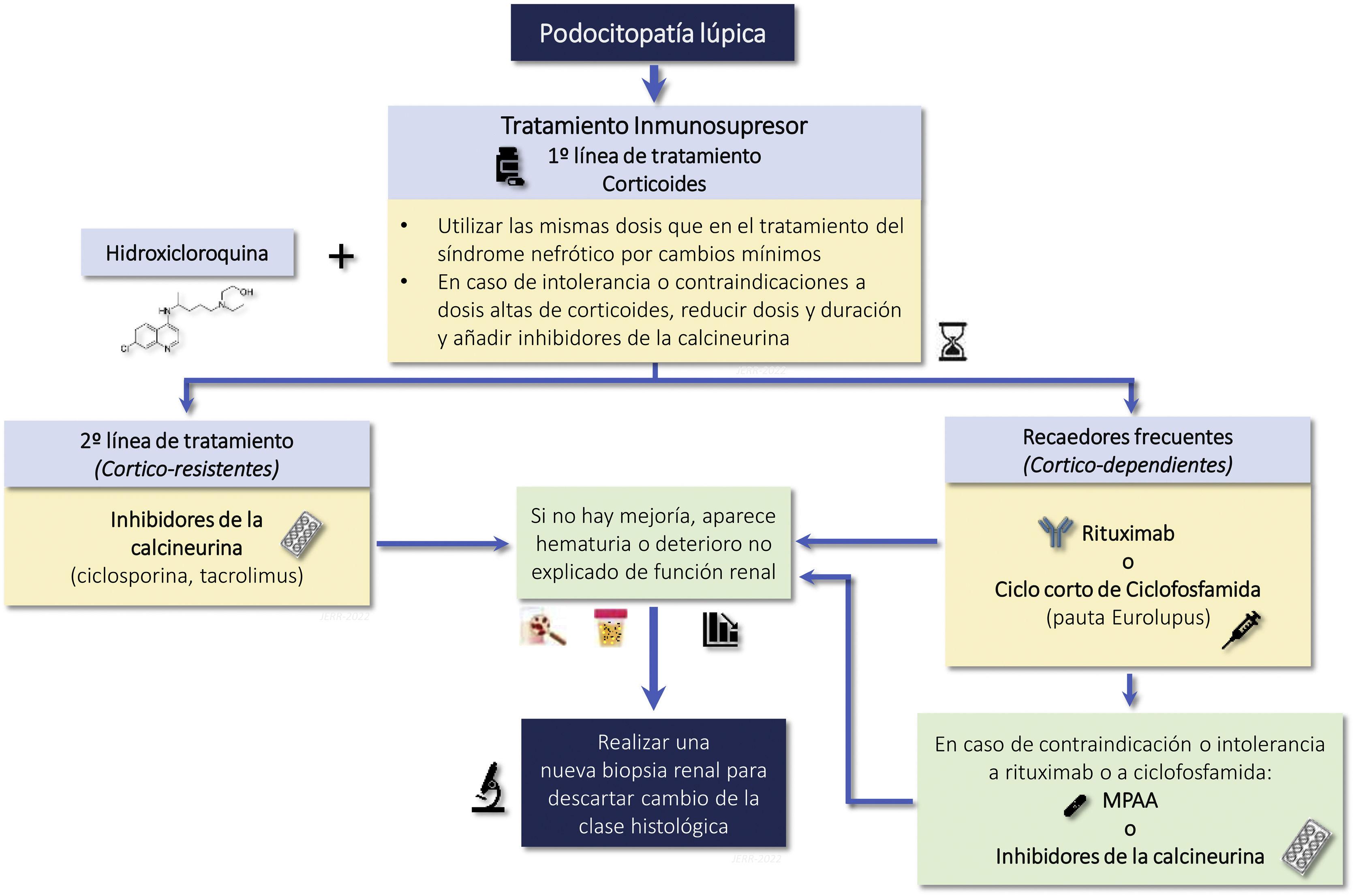 Consensus document of the Spanish Group for the Study of the Glomerular ...