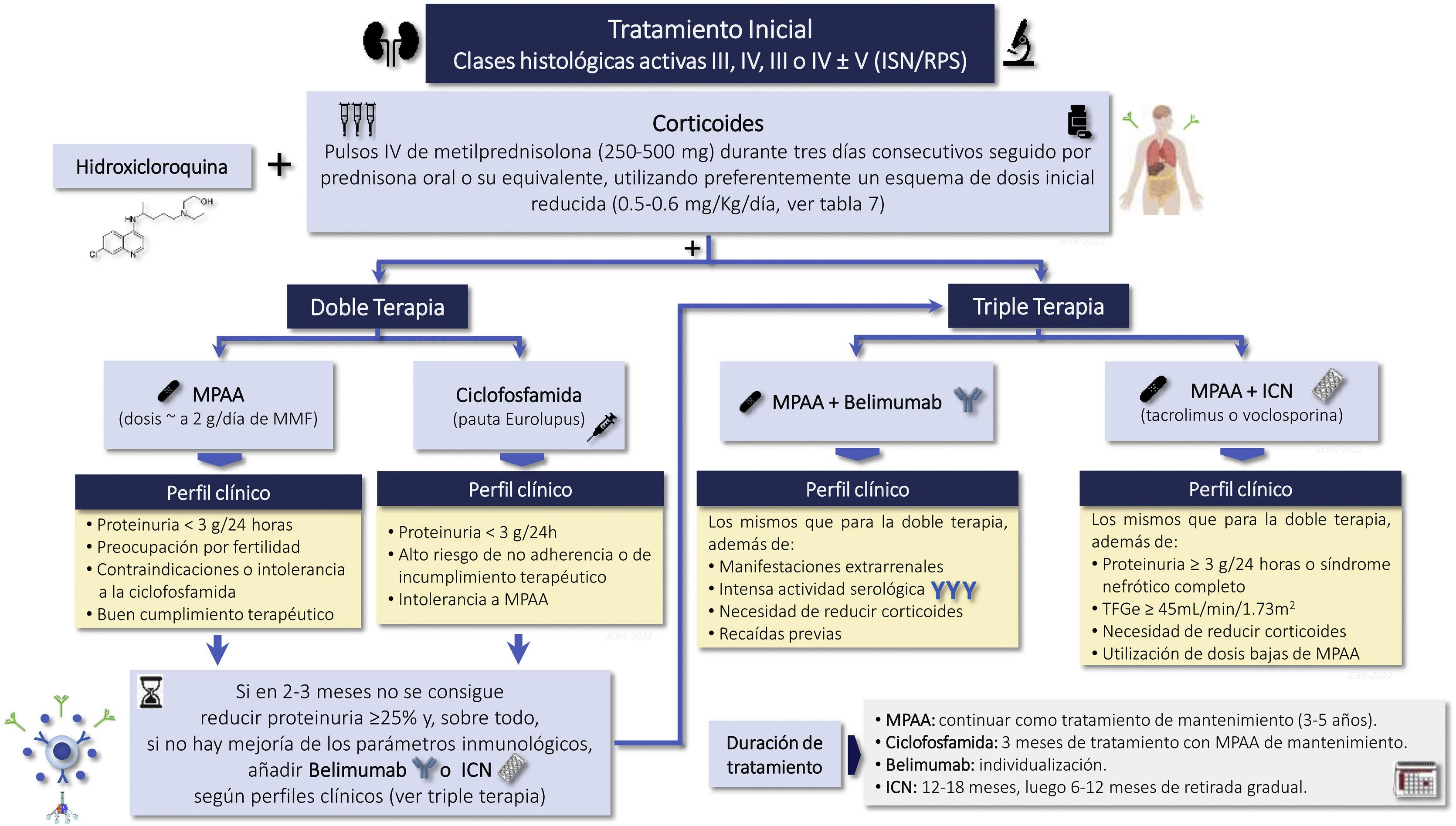 Consensus document of the Spanish Group for the Study of the Glomerular ...