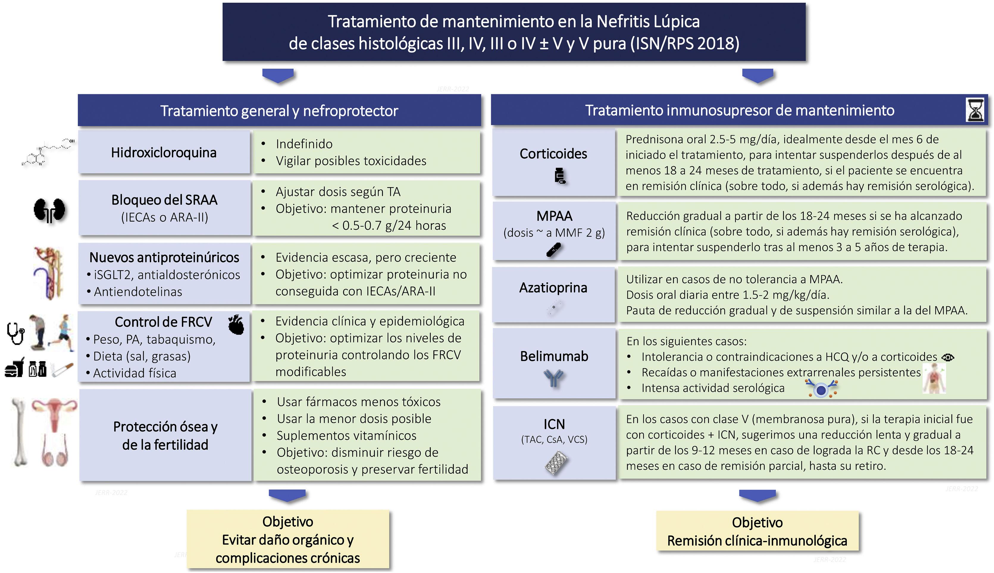 Consensus document of the Spanish Group for the Study of the Glomerular ...