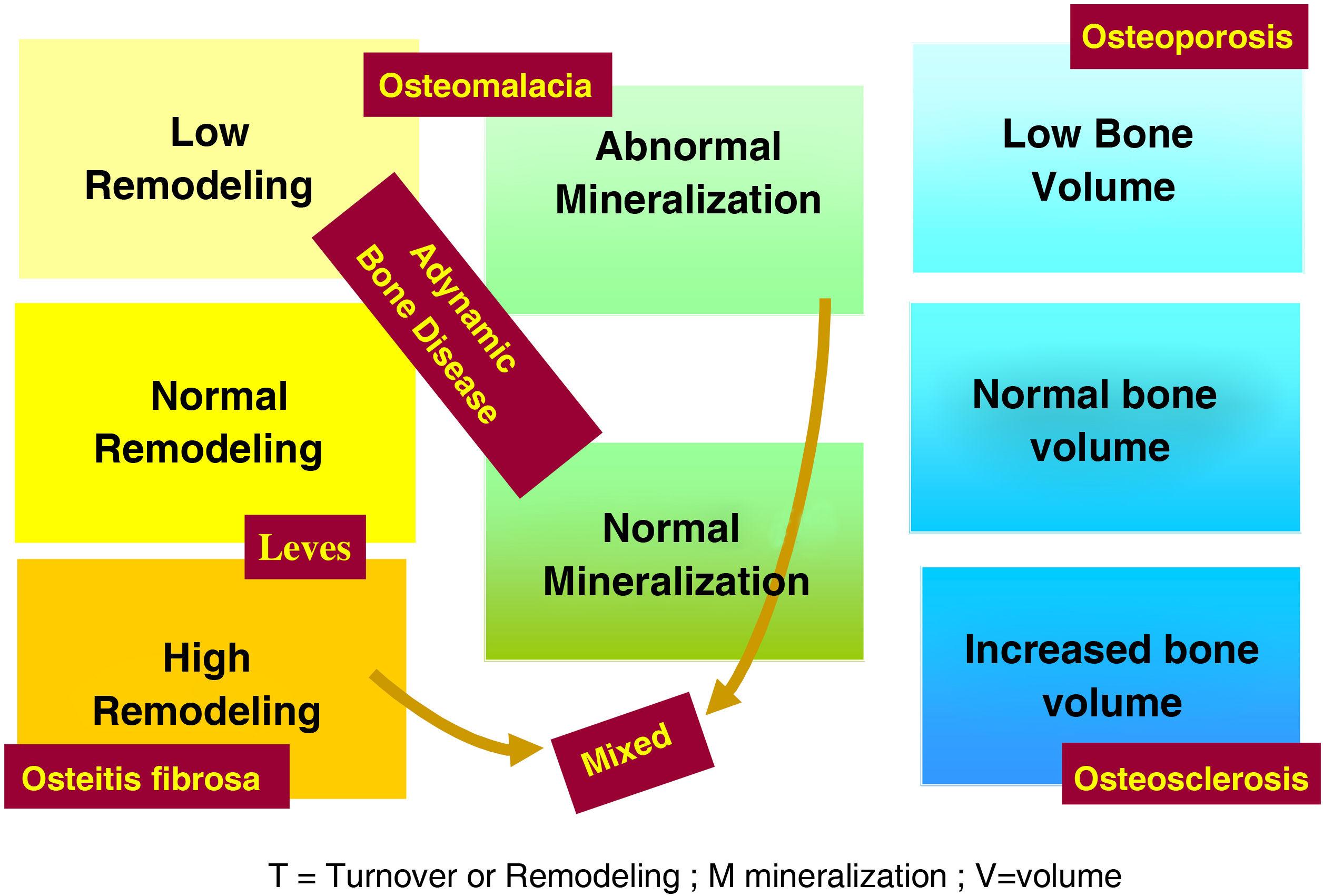Recommendations of the Spanish Society of Nephrology for the management ...