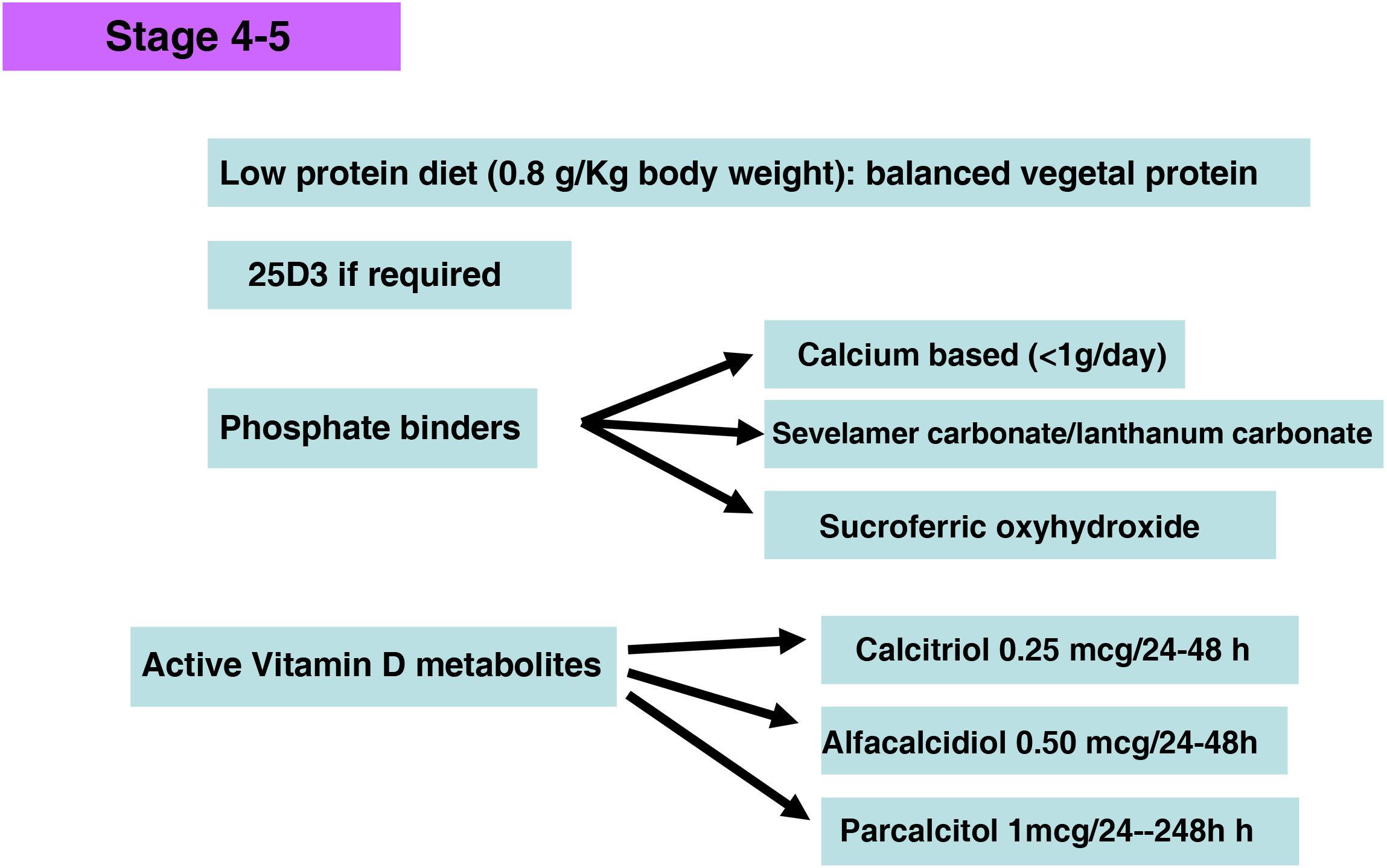Recommendations of the Spanish Society of Nephrology for the management ...
