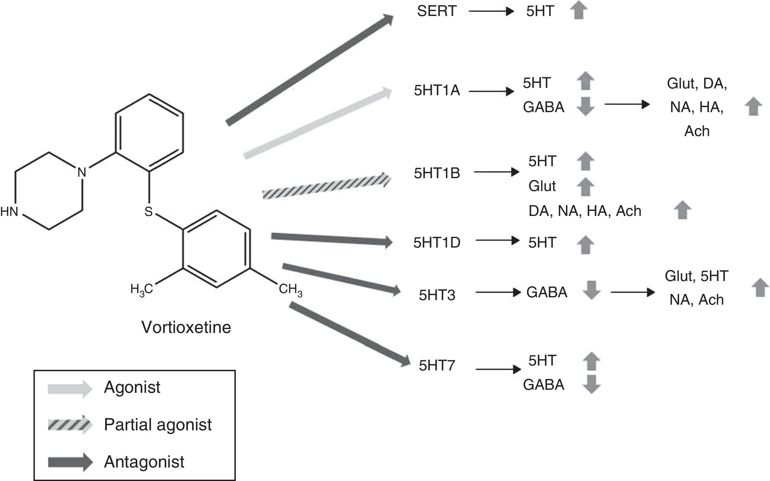 Vortioxetine: A new alternative for the treatment of major depressive ...