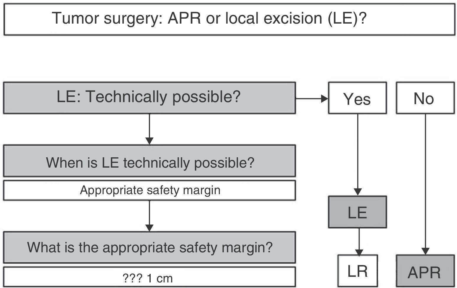 Anorectal Melanoma. An Update | Cirugía Española (English Edition)