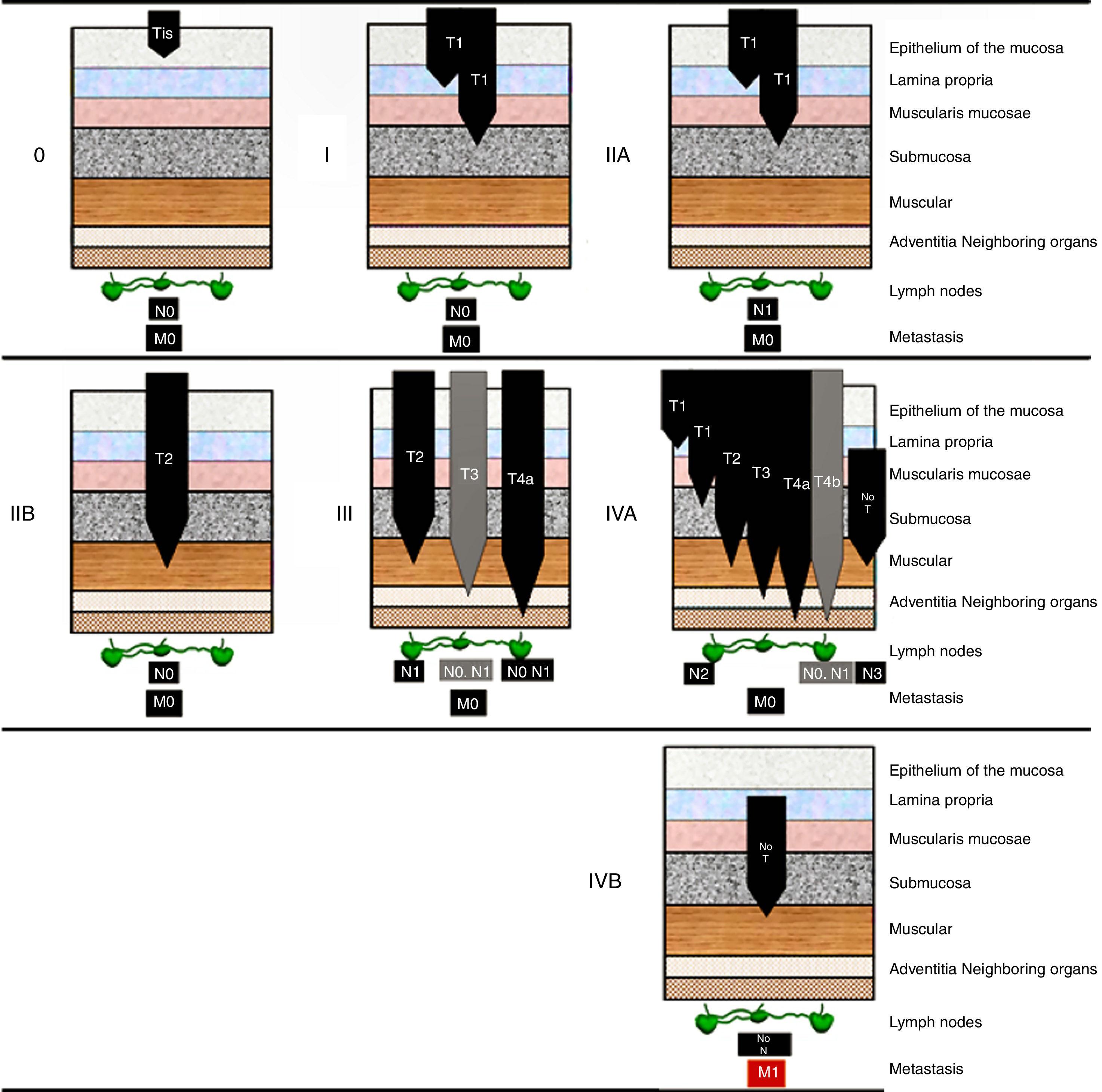 The 8th Edition of the AJCC-TNM Classification: New Contributions to ...