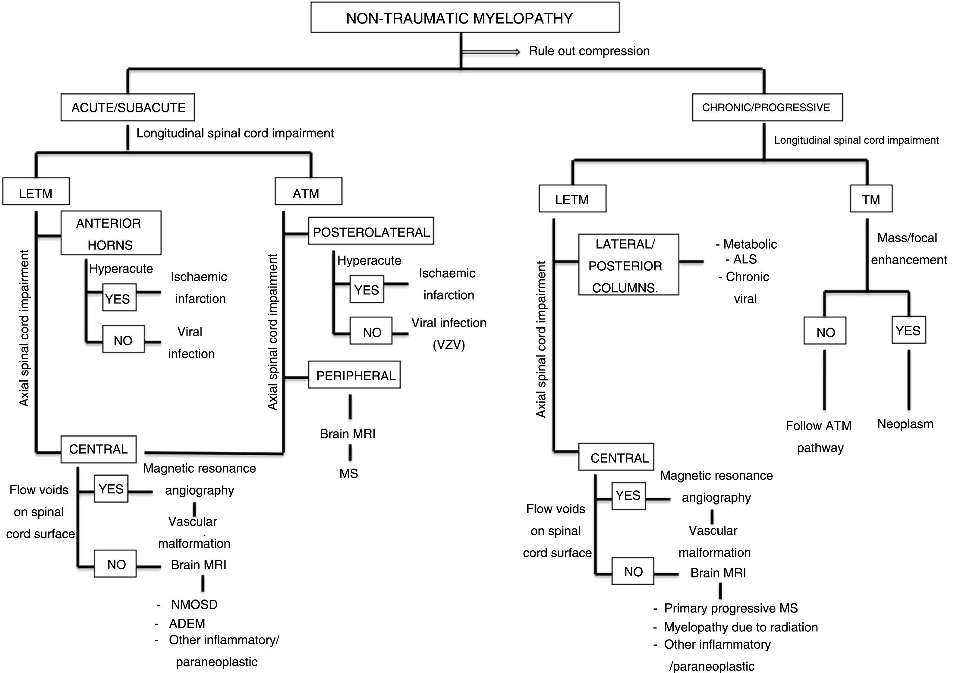Clinical-radiological approach to nontraumatic myelopathy | Radiología ...