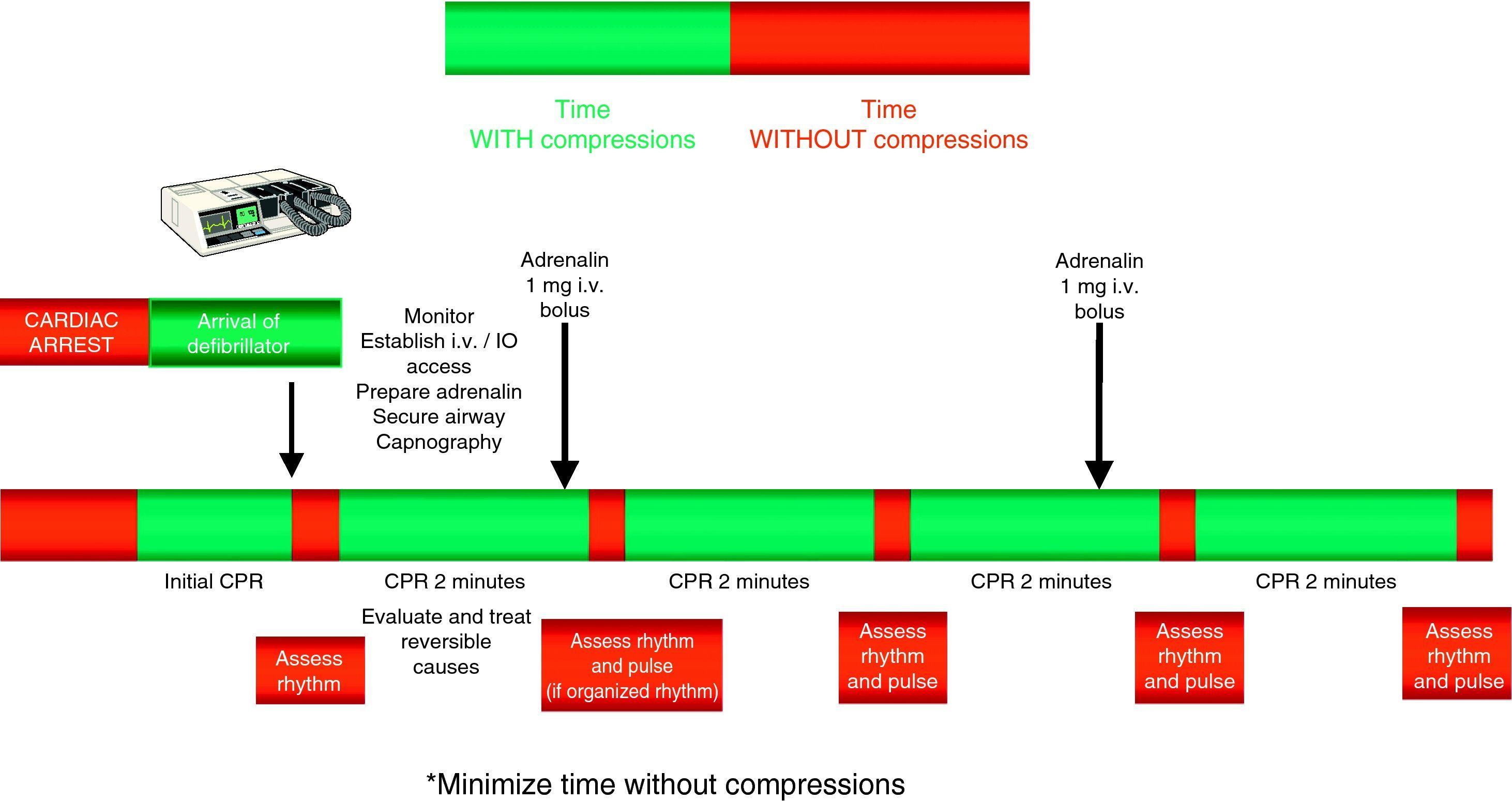 Novelties in advanced life support | Medicina Intensiva