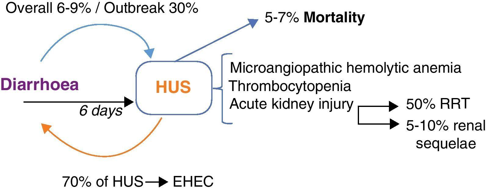E. coli O104:H4 outbreak and haemolytic–uraemic syndrome | Medicina ...