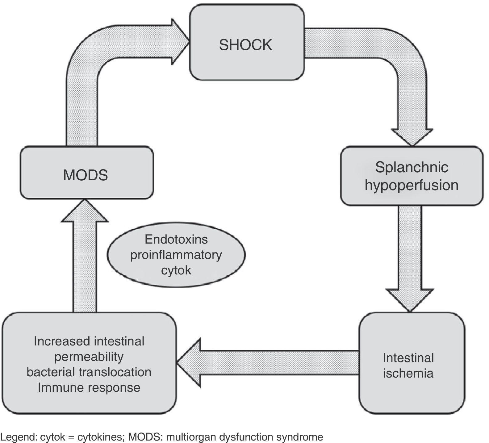 Enteral nutrition in the hemodynamically unstable critically ill ...