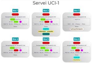 Support to the organization of the Intensive Care Units during the ...