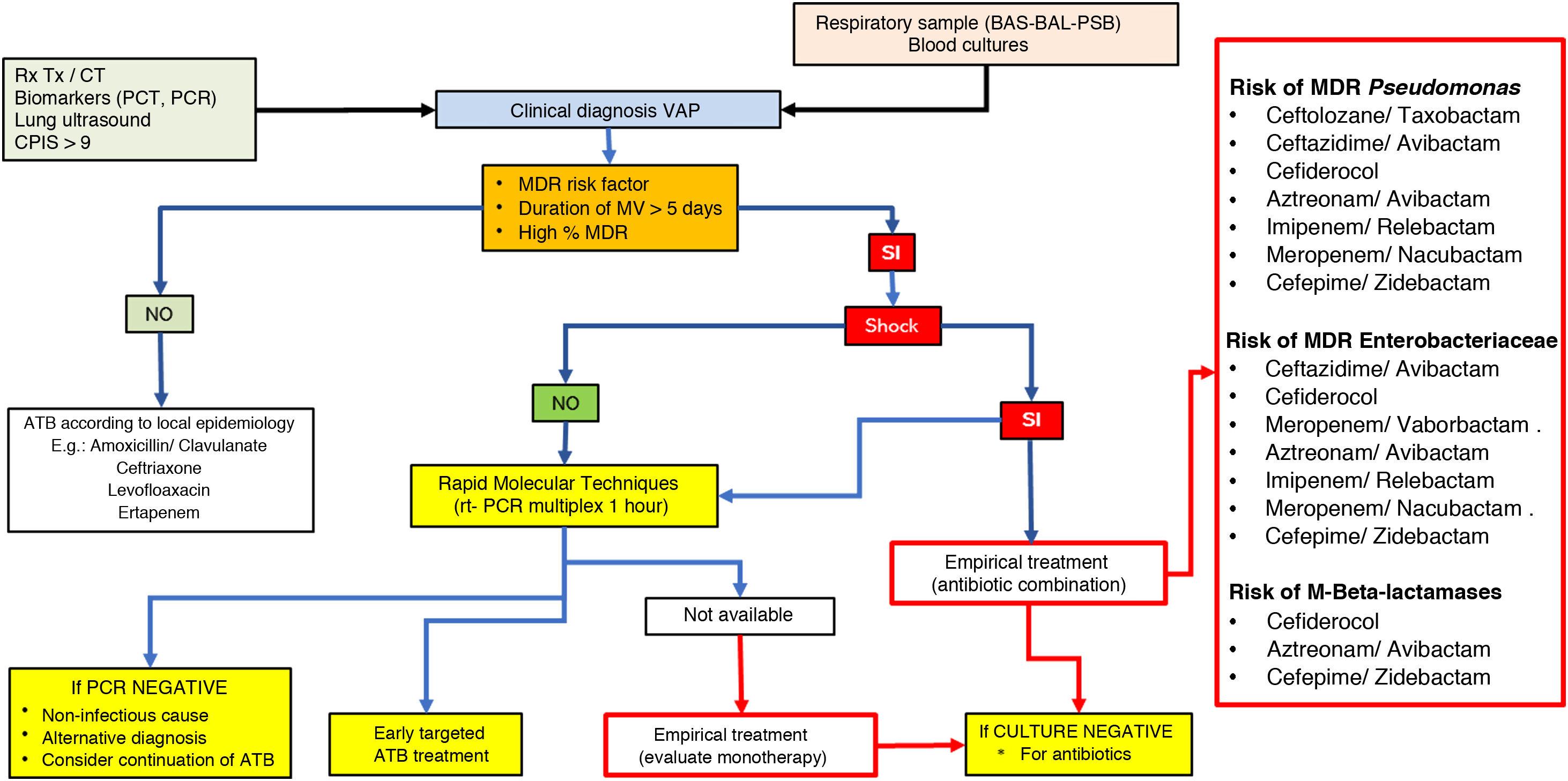 Antibiotics in development for multiresistant gram-negative bacilli ...