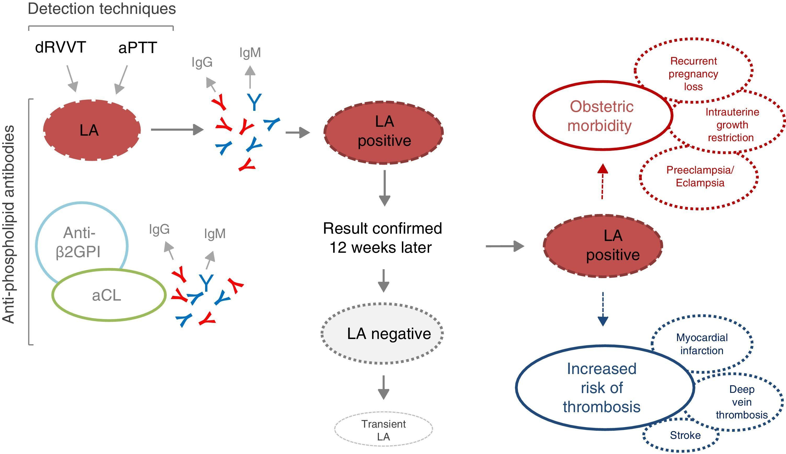 Web-like bronchial stenosis secondary to granulomatosis with ...