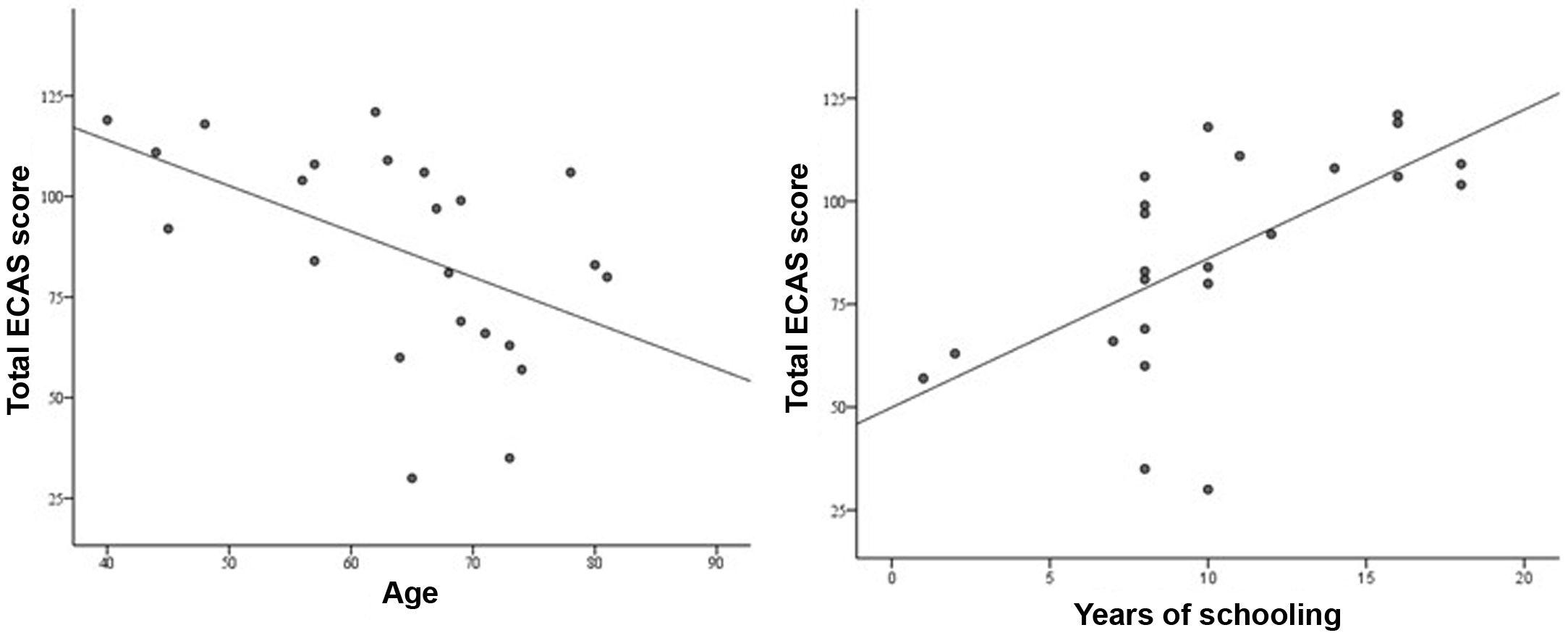 Impact of age and education on performance in the Spanish-language ...