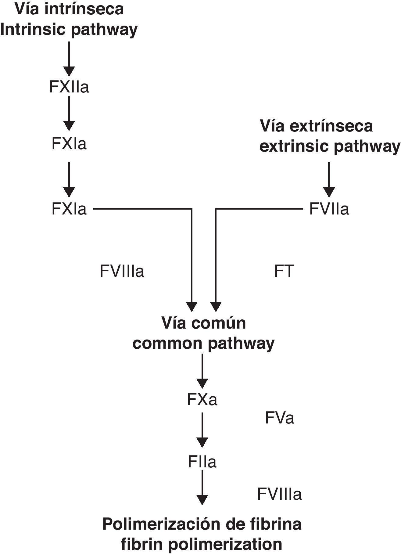 Thromboelastography: New concepts in haemostasis physiology and ...