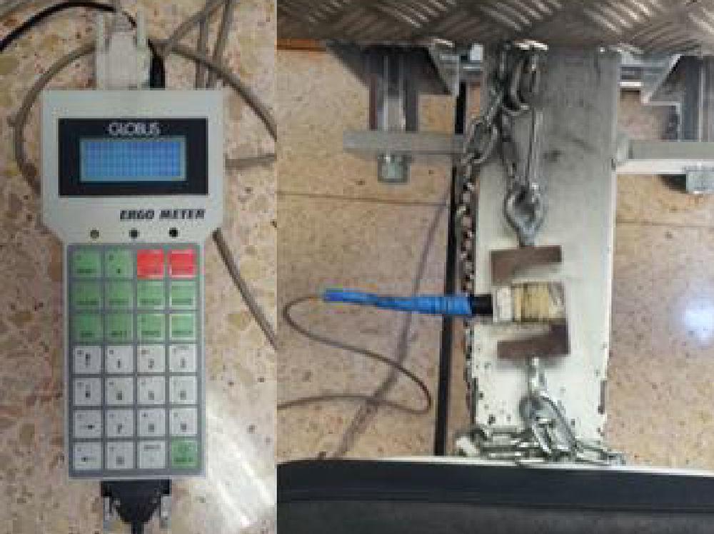 Evaluation of isometric force in lower limbs and body composition in ...