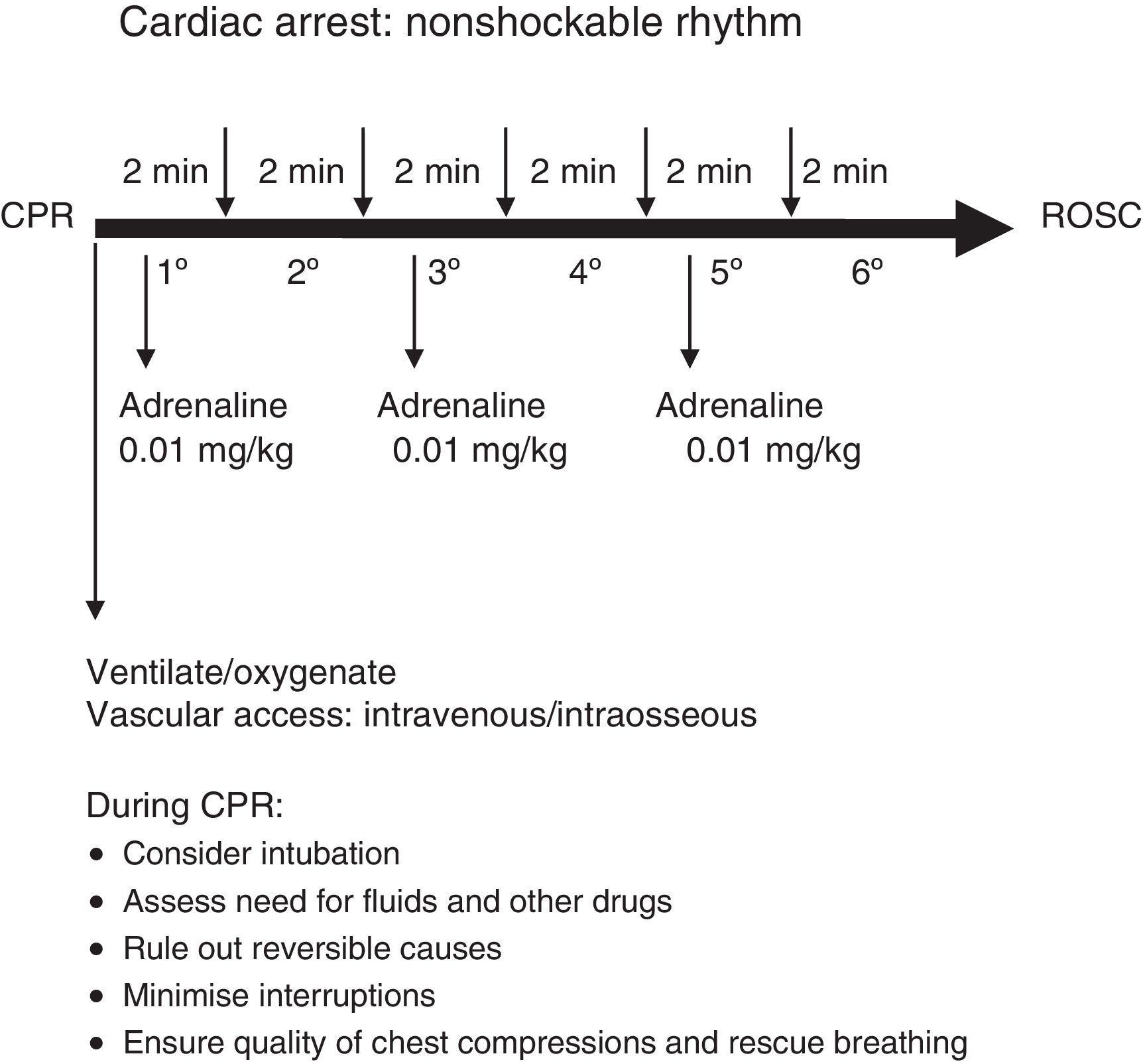 The latest in paediatric resuscitation recommendations | Anales de ...