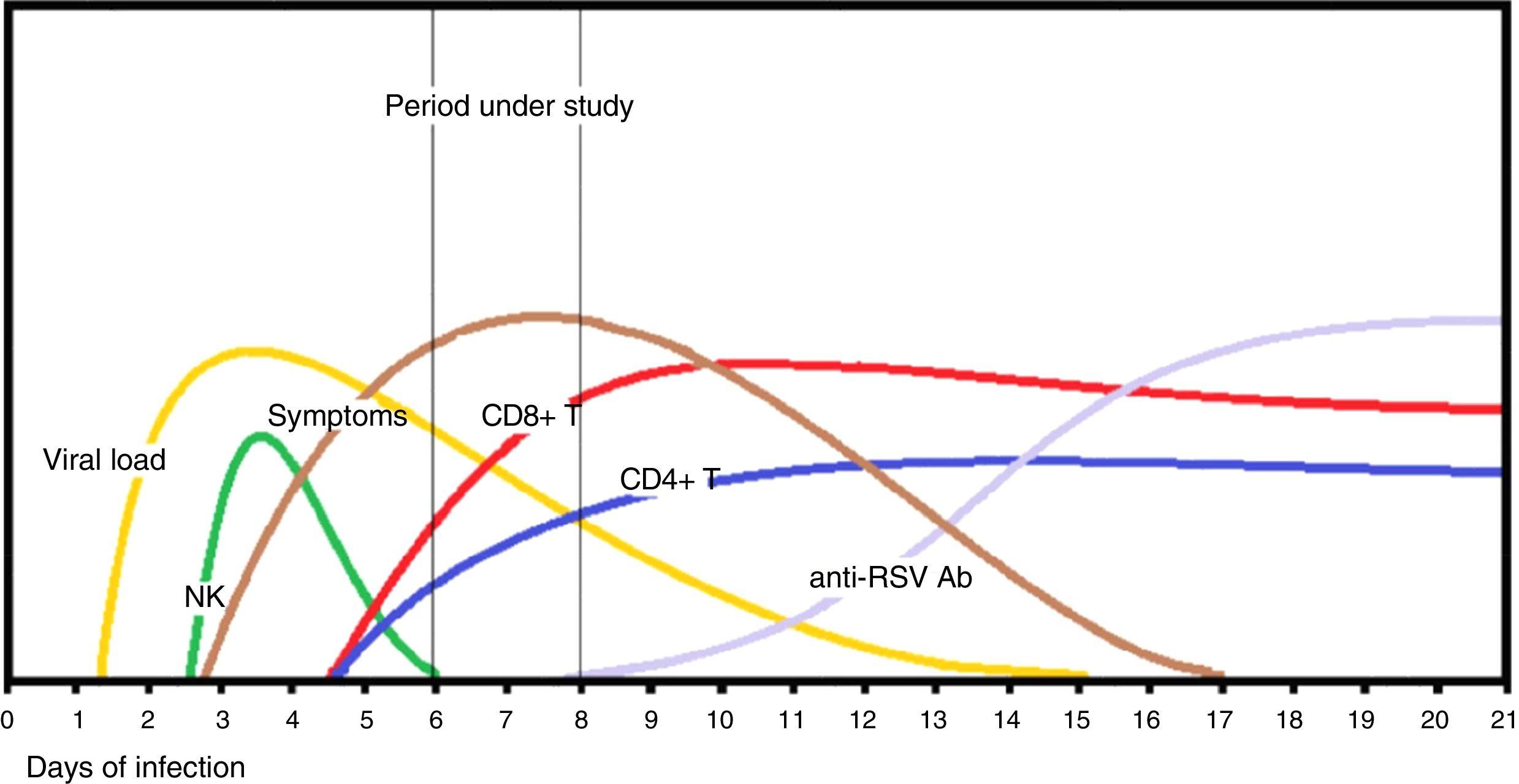 Sequence of events in the immune response to primary infection by RSV ...