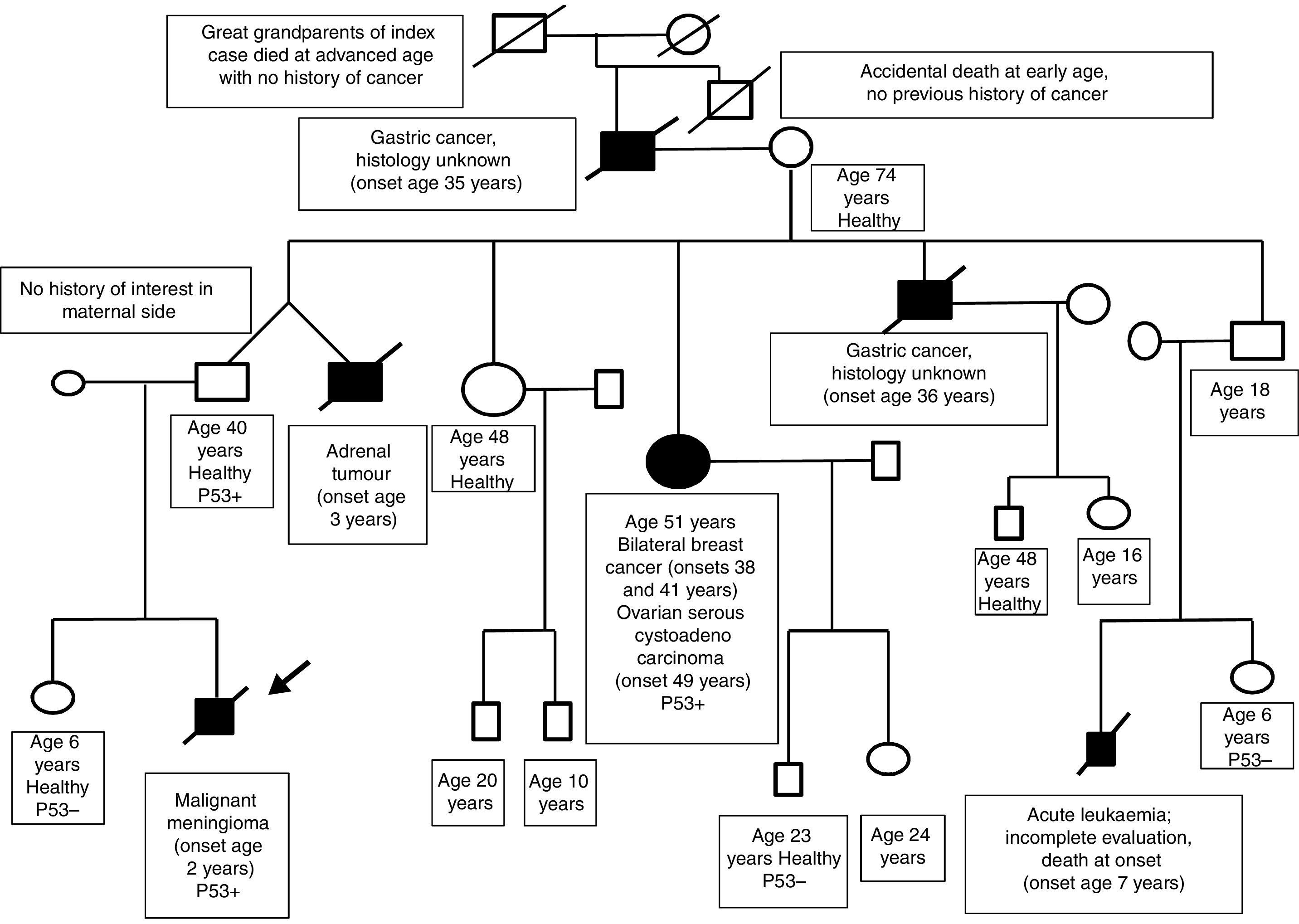 Li-Fraumeni: Will the detection in families increase the survival of ...