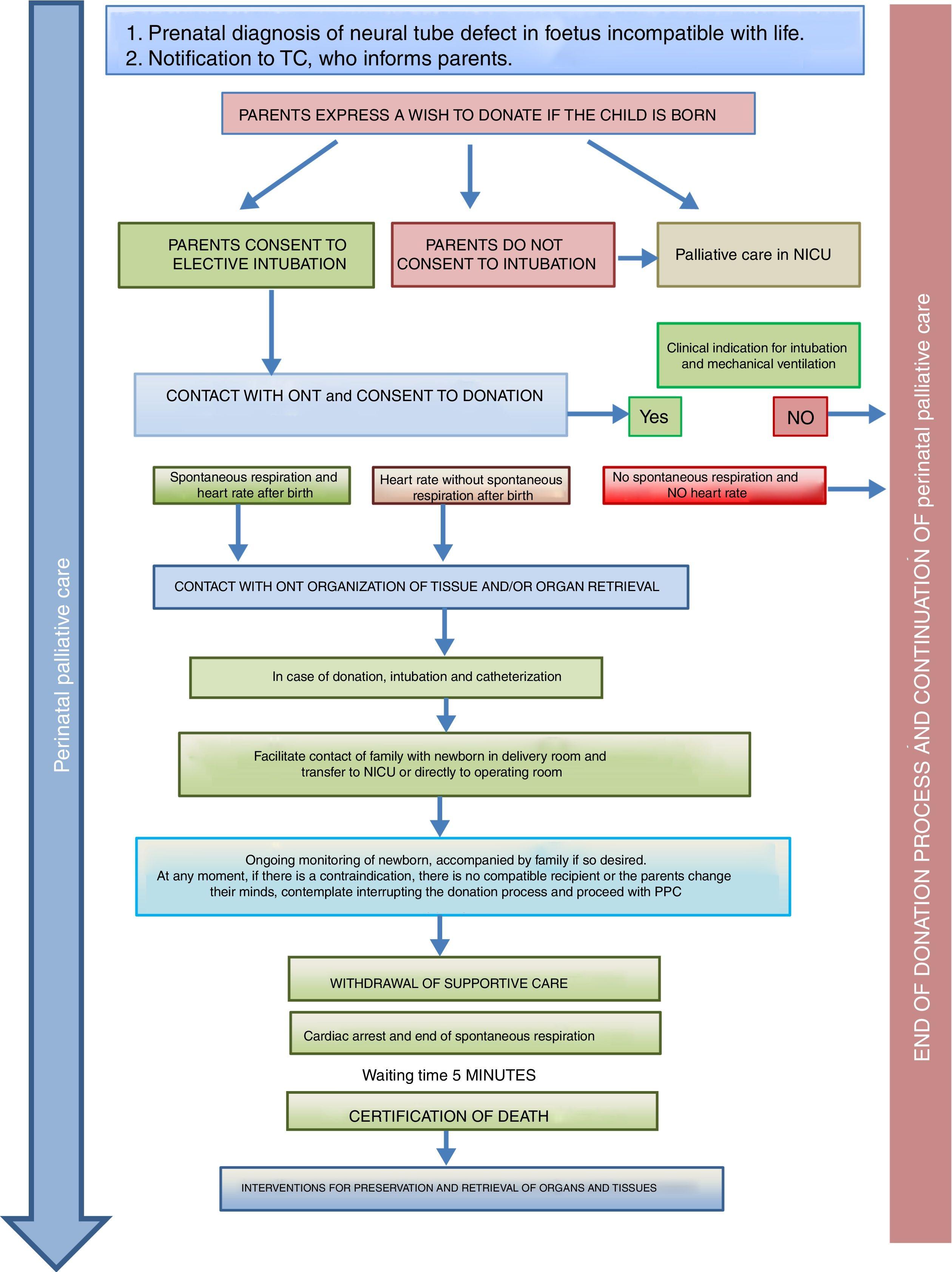 National recommendations on pediatric donation | Anales de Pediatría
