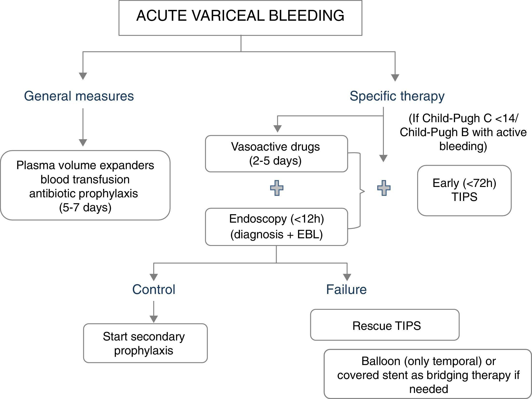 An update on the management of acute esophageal variceal bleeding ...