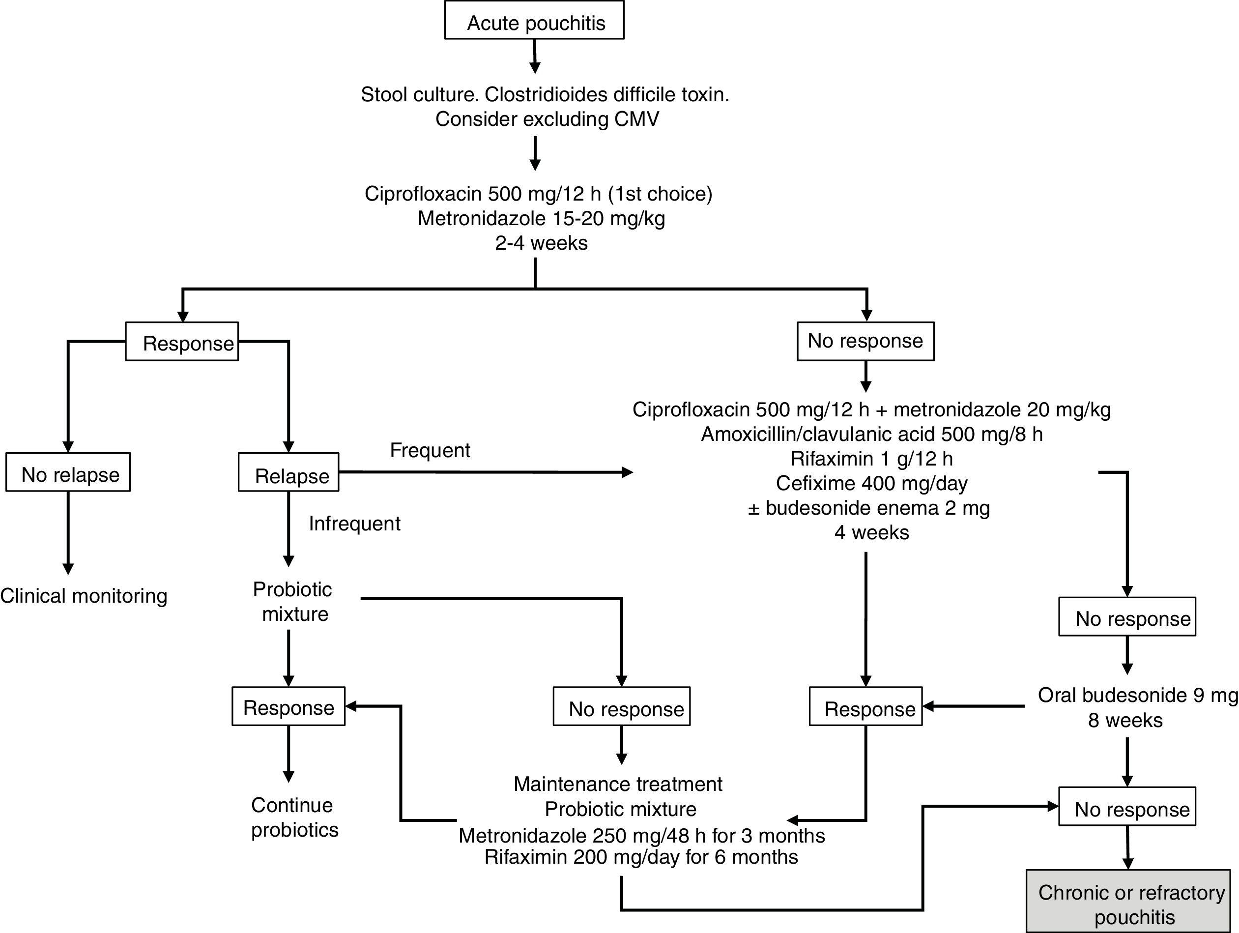 Recommendations of the Spanish Working Group on Crohn's Disease and ...