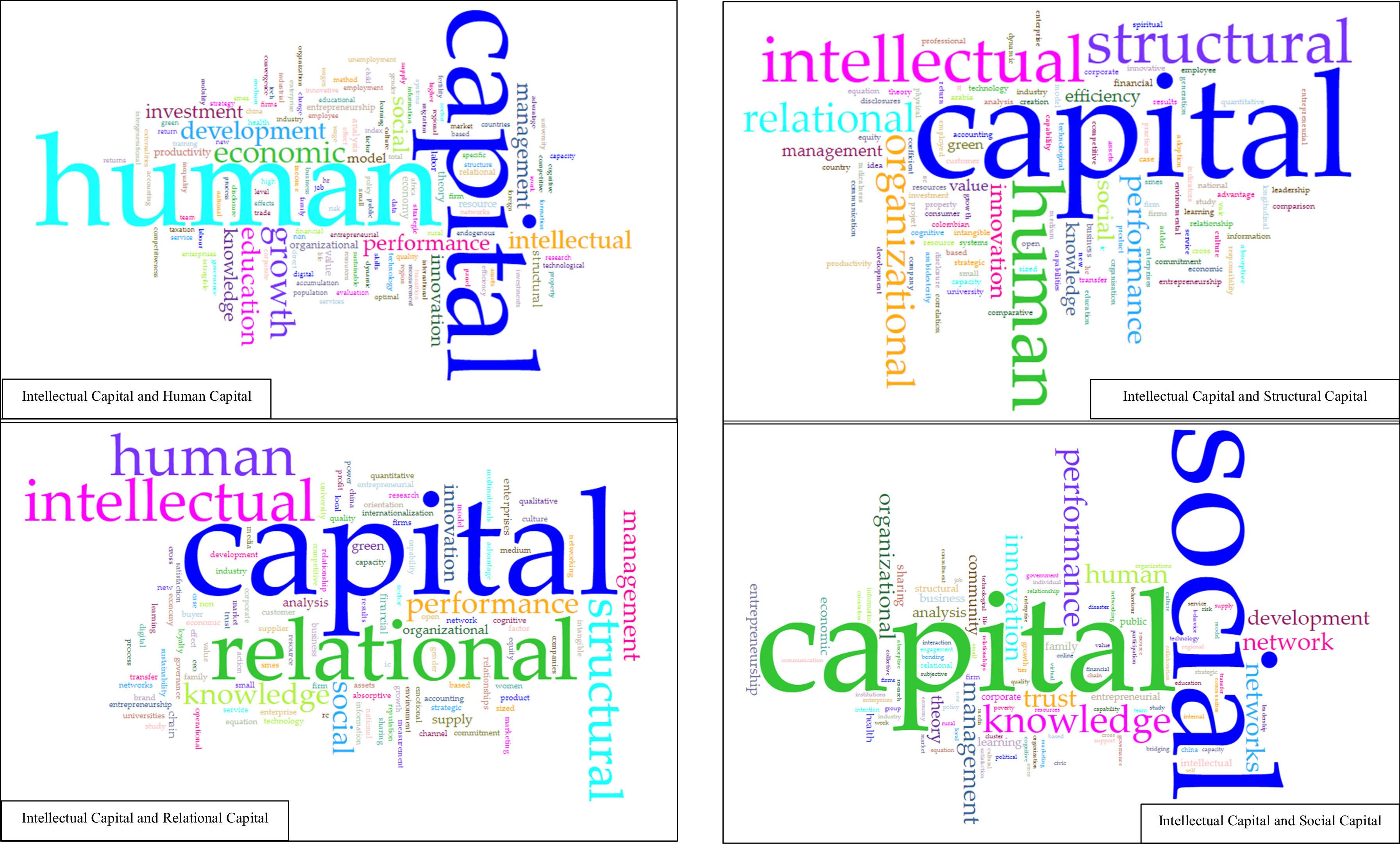 Mapping the conceptual structure of intellectual capital research: A co ...