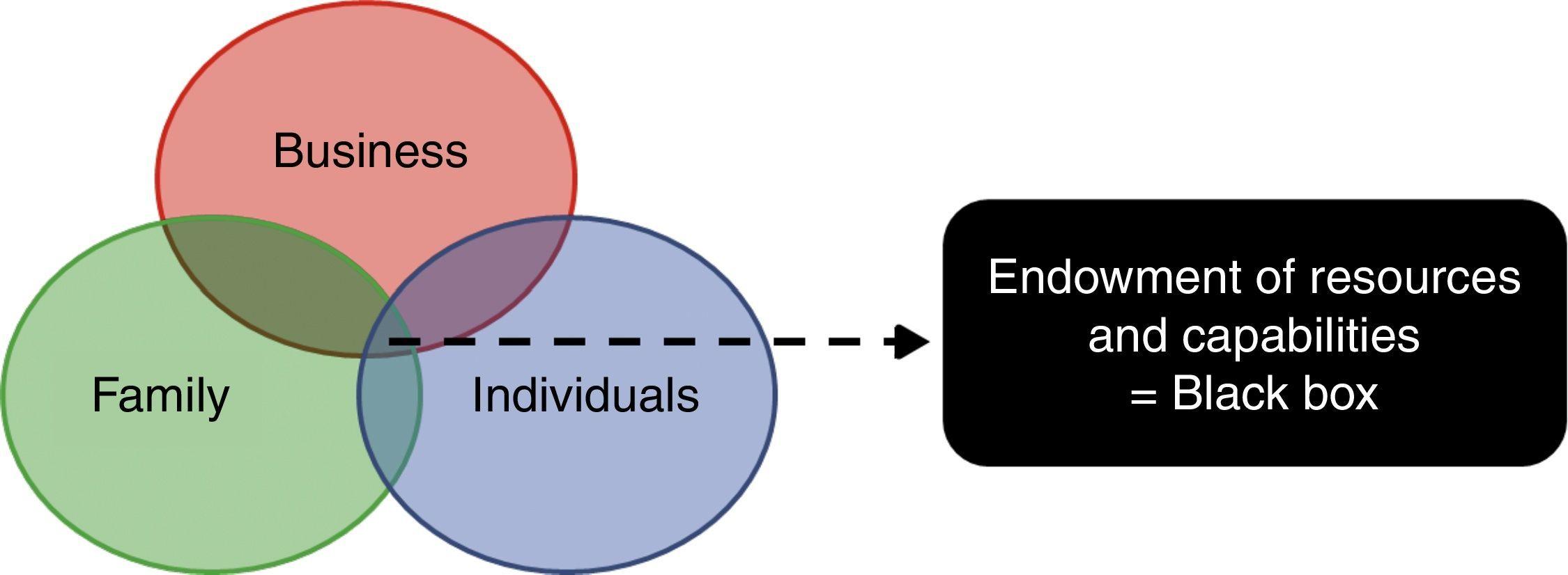 Composition of familiness: Perspectives of social capital and open ...