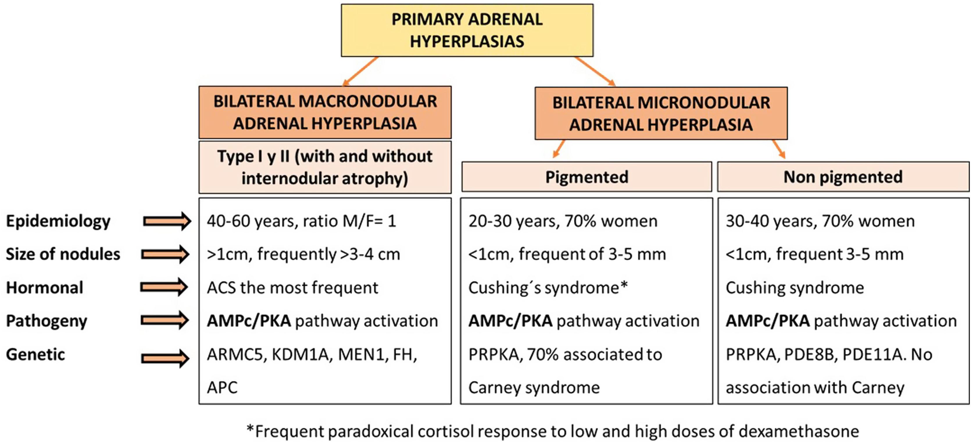Primary bilateral macronodular adrenal hyperplasia: A series of 32 ...