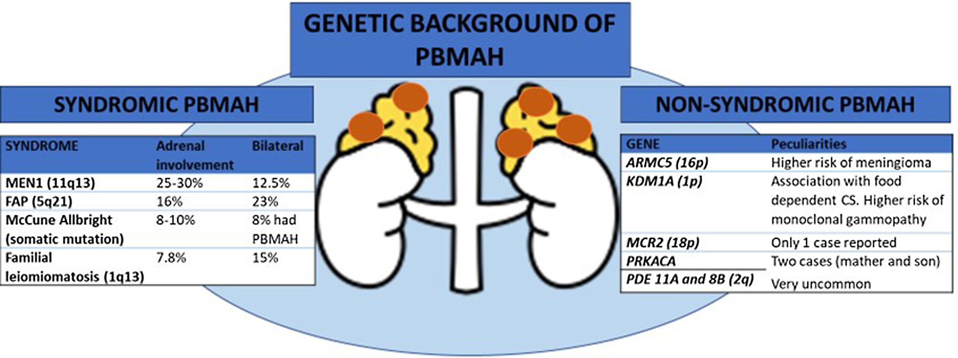 The importance of the genetic study in primary bilateral macronodular ...