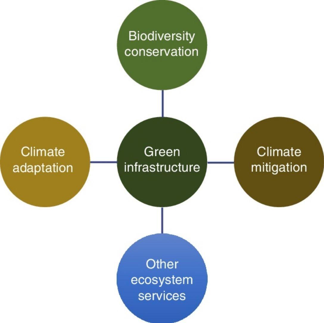 Ecosystems as infrastructure | Perspectives in Ecology and Conservation