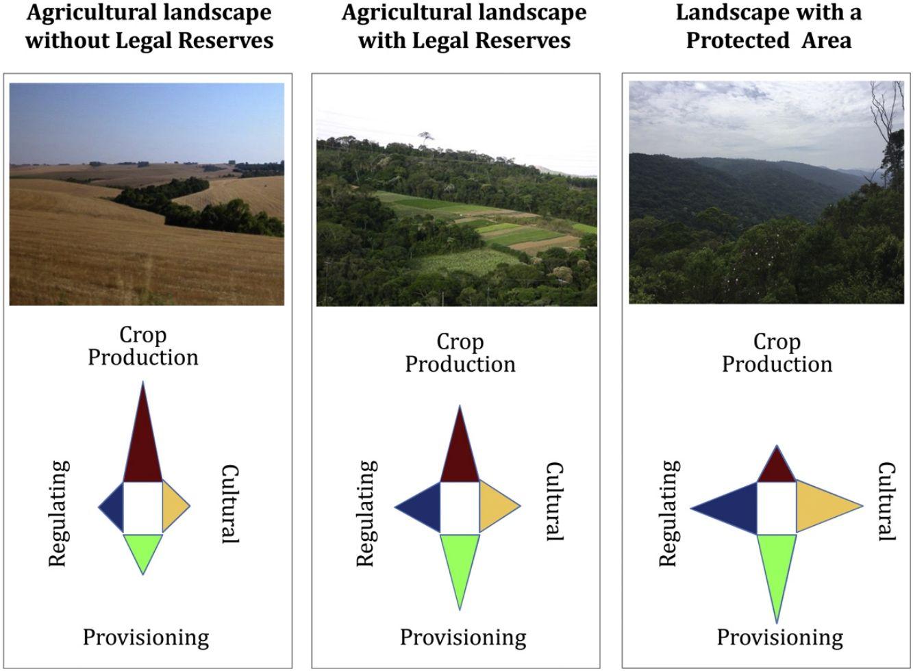 Why Brazil needs its Legal Reserves | Perspectives in Ecology and ...