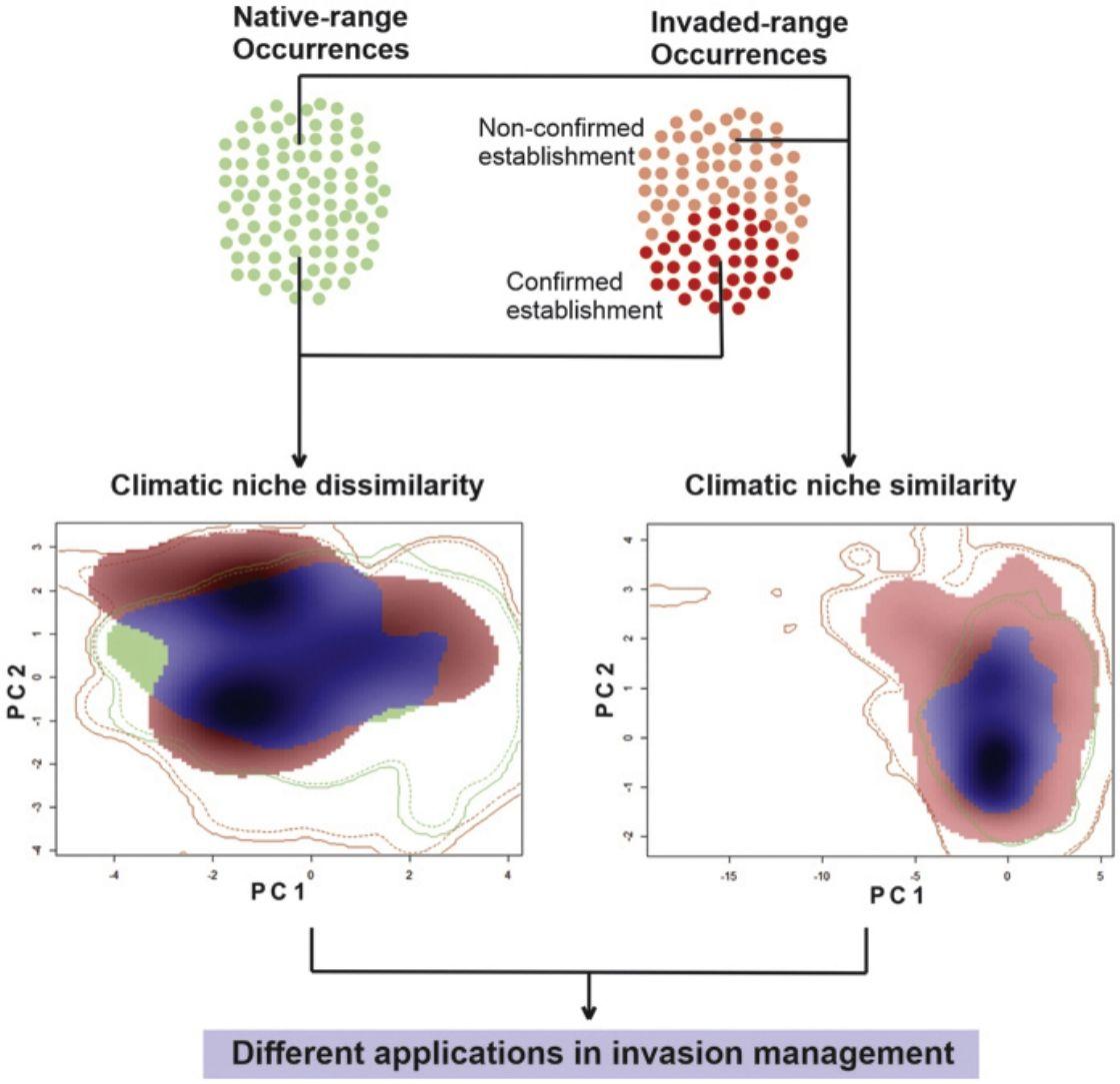 Modeling invasive species risk from established populations: Insights ...
