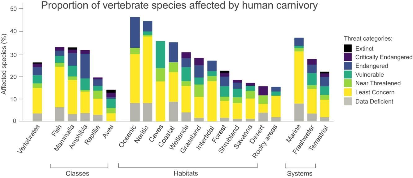 Human carnivory as a major driver of vertebrate extinction ...