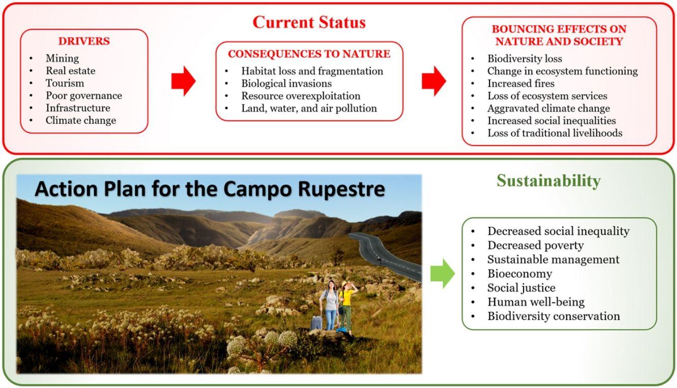 Biodiversity and ecosystem services in the Campo Rupestre: A road map ...