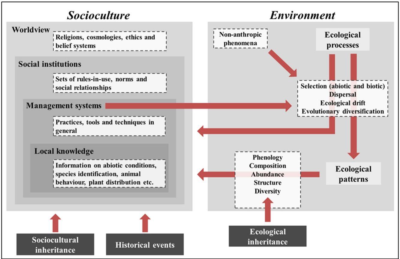 A framework for identifying and integrating sociocultural and ...