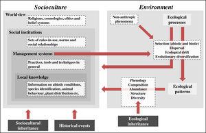 A framework for identifying and integrating sociocultural and ...