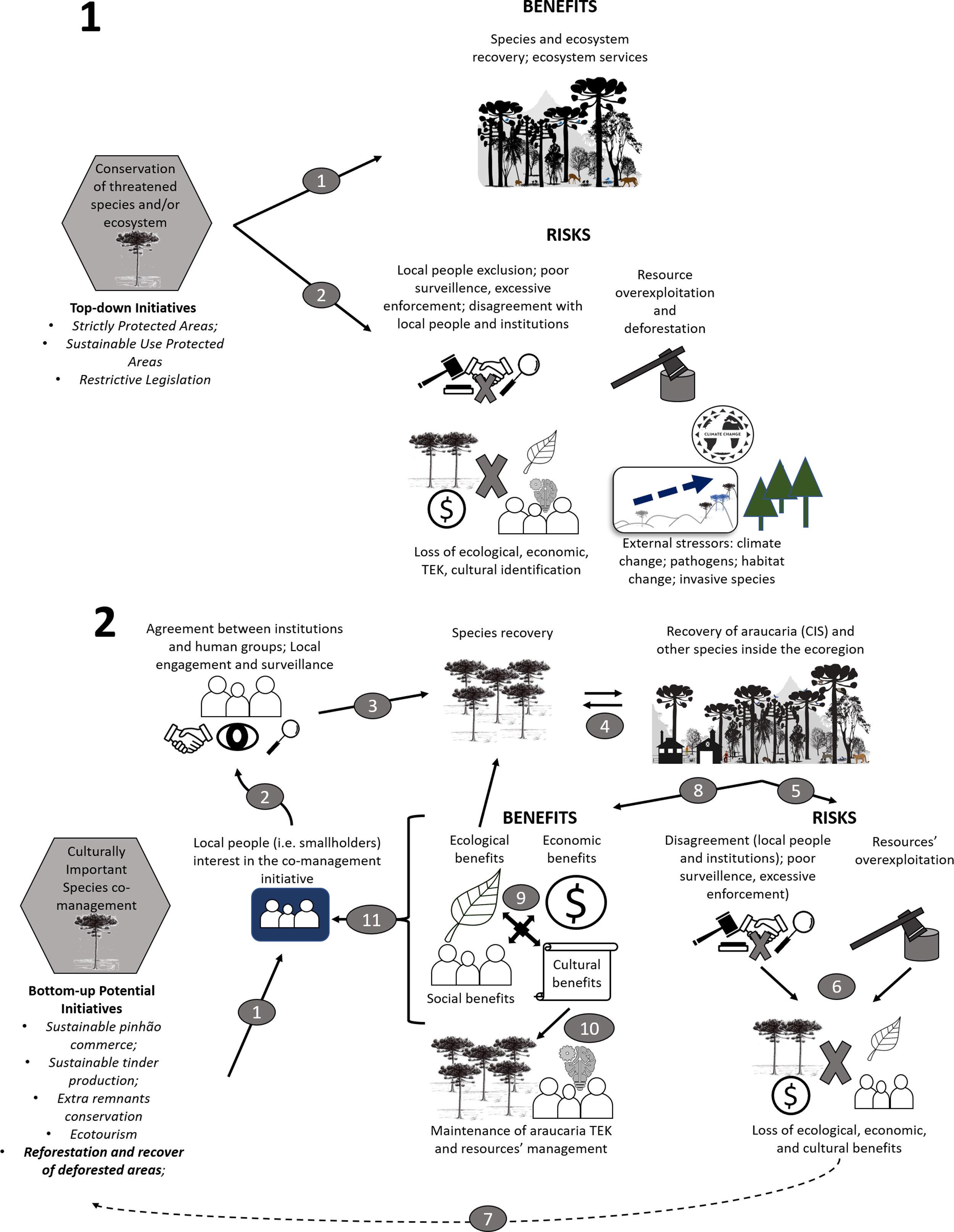 Collaborative management as a way to enhance Araucaria Forest ...