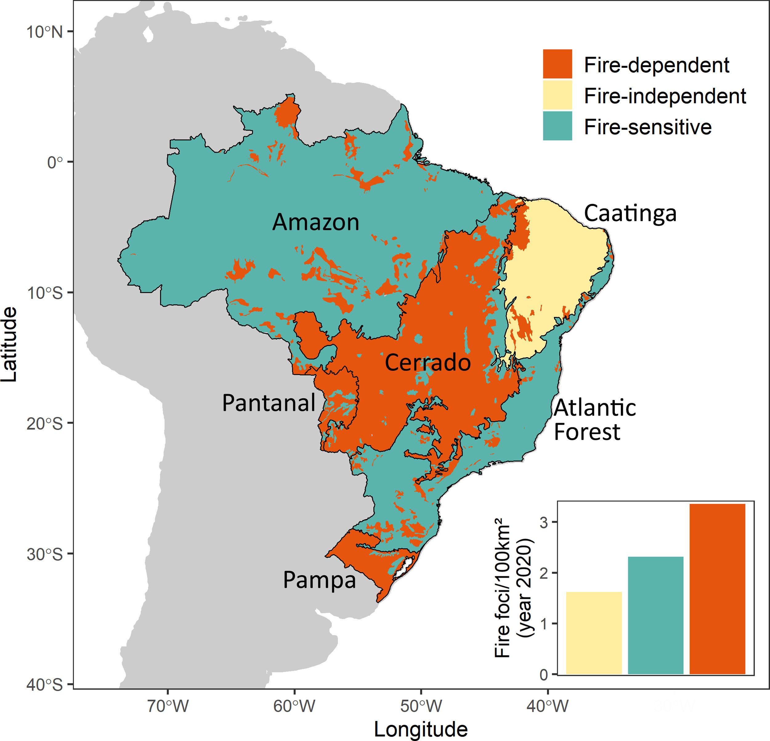 Understanding Brazil’s catastrophic fires: Causes, consequences and ...