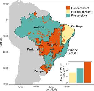 Understanding Brazil’s catastrophic fires: Causes, consequences and ...
