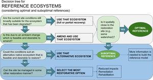 Optimal references for ecological restoration: the need to protect ...