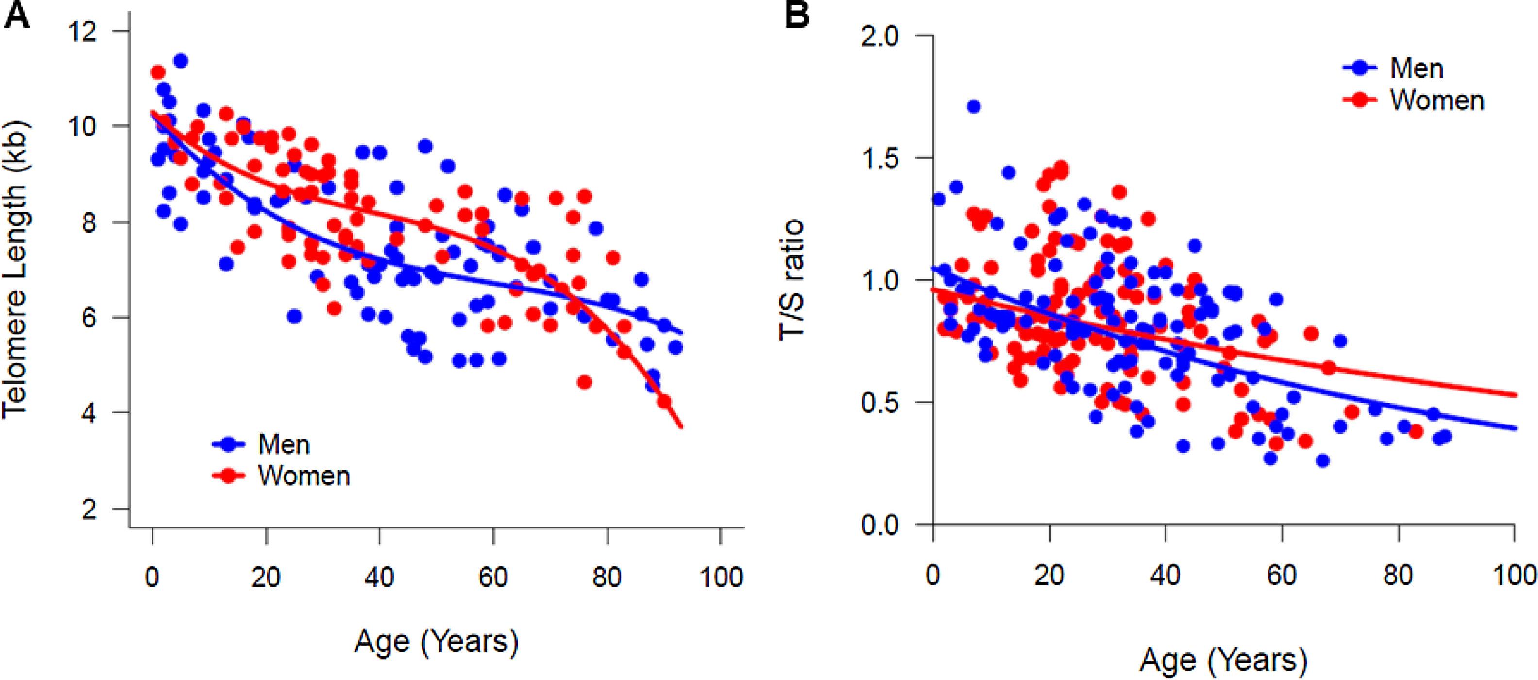 Association Between Leukocyte Telomere Length And Sex By Quantile
