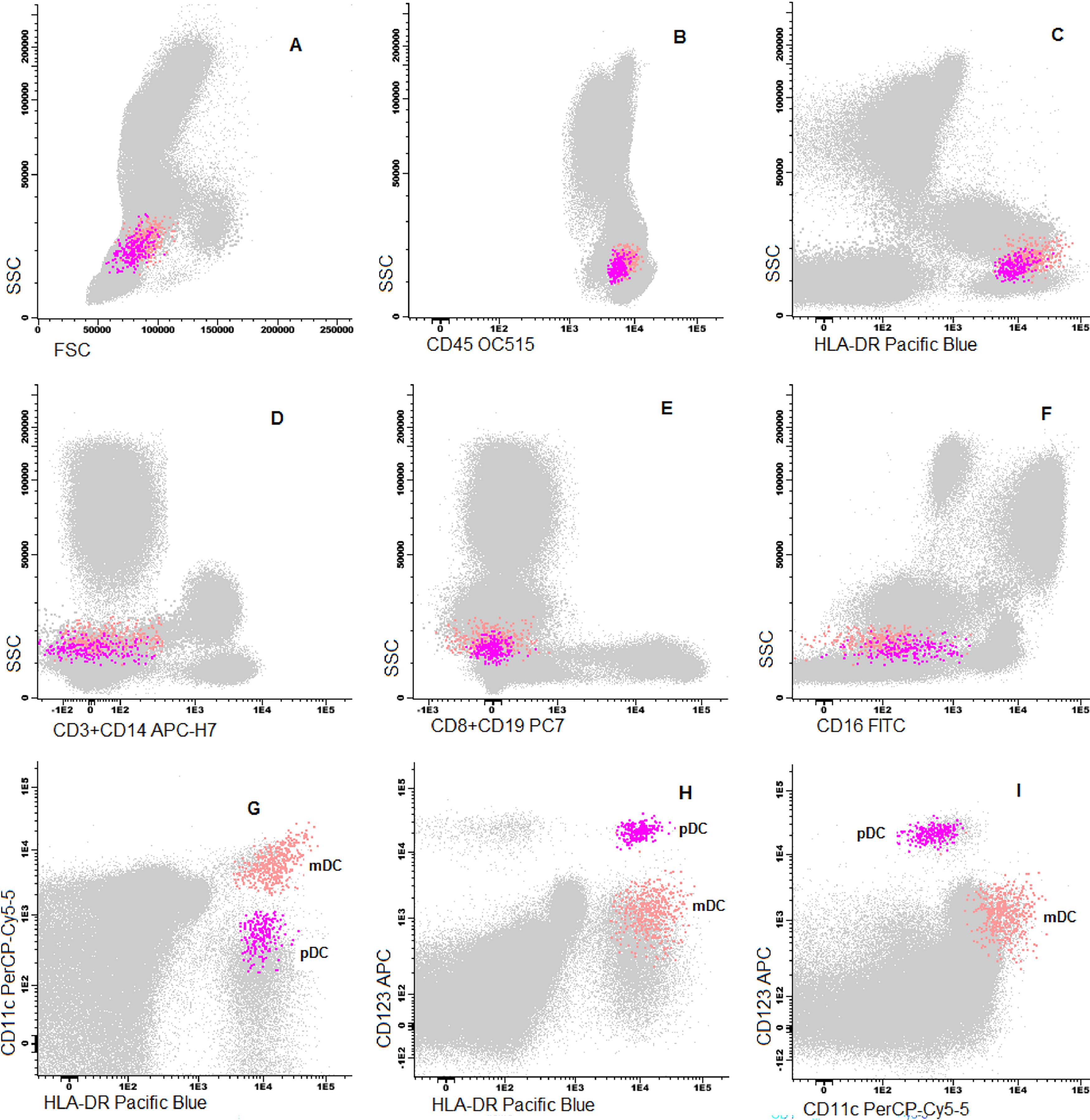 Natural killer cells 56bright16− have higher counts in the umbilical ...
