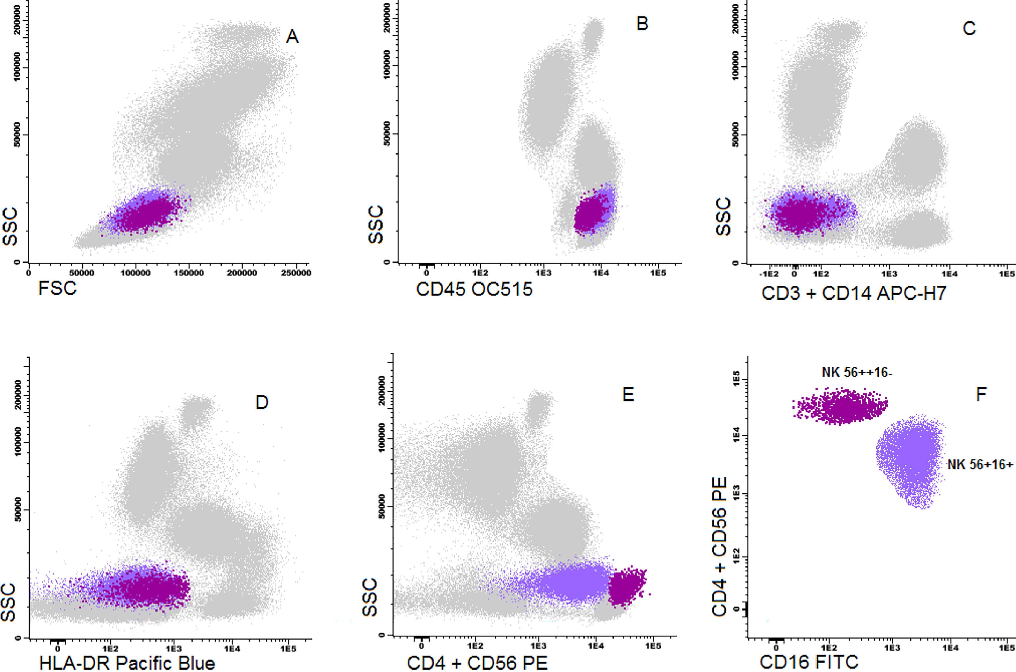 Natural killer cells 56bright16− have higher counts in the umbilical ...