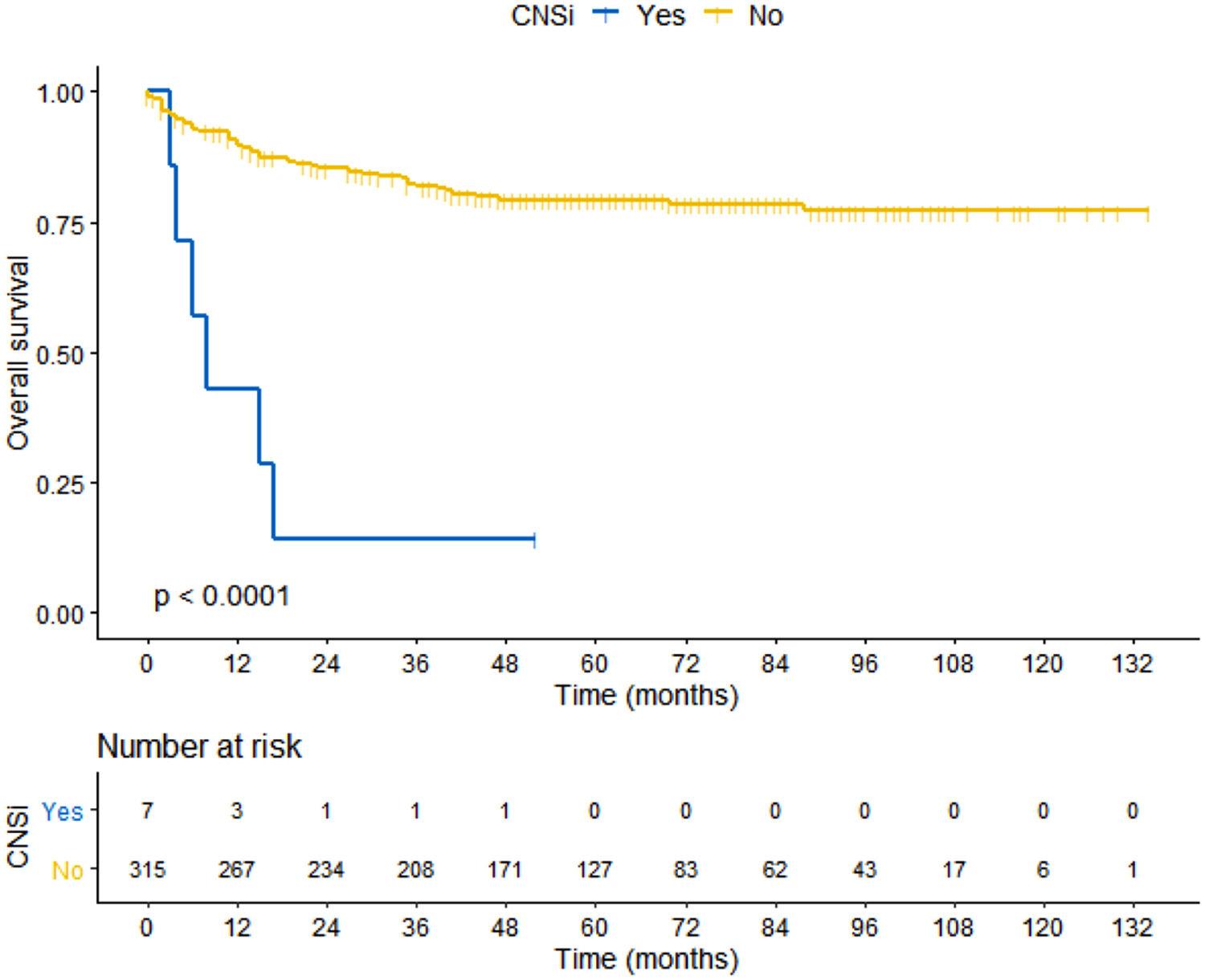 Application of the Central Nervous System International Prognostic ...