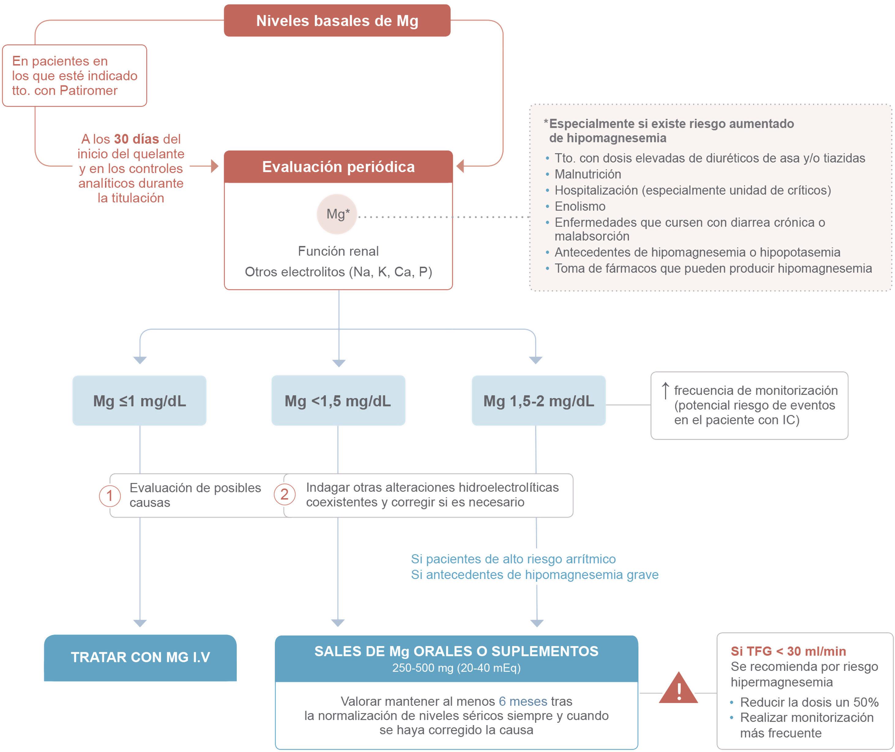 Fisiopatología, diagnóstico y tratamiento de la hipomagnesemia en ...